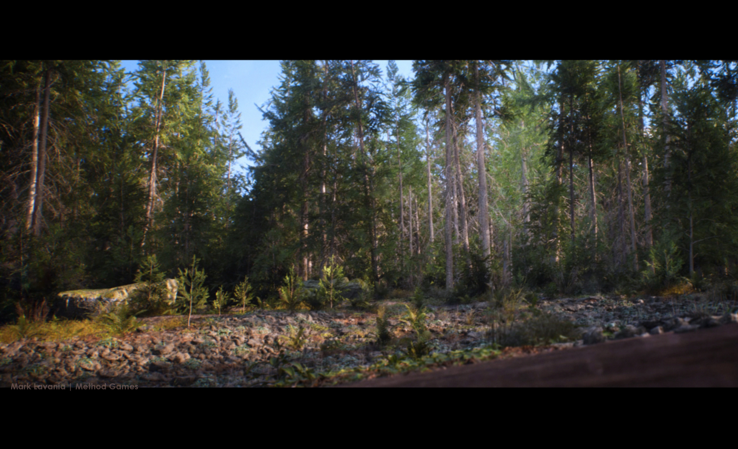 Mark Lavania - Forest Road - Unreal Engine 5