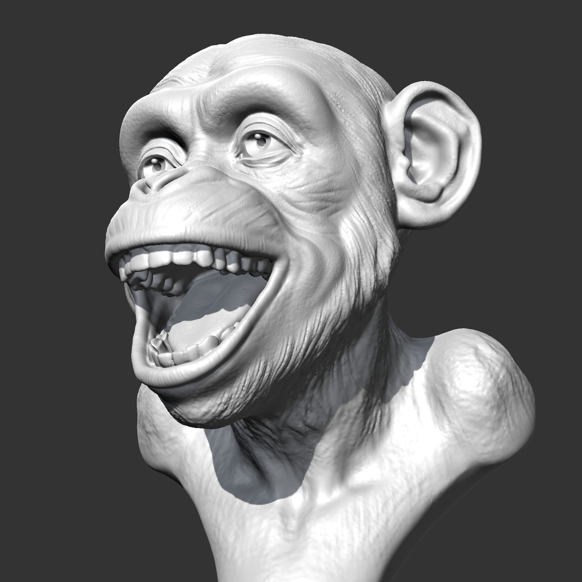 sangho - Chimp Head AM24 3D print model