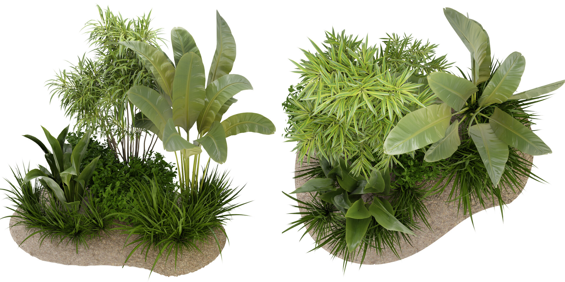 ArtStation - Collection Plant Vol 288 - Blender Model