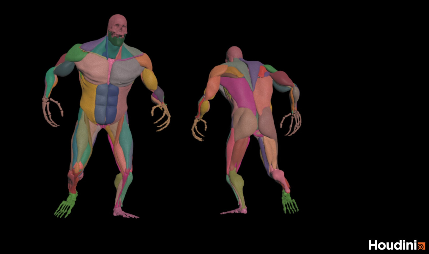 ArtStation - Houdini 19.5 New Tissue Solver Creature Sim