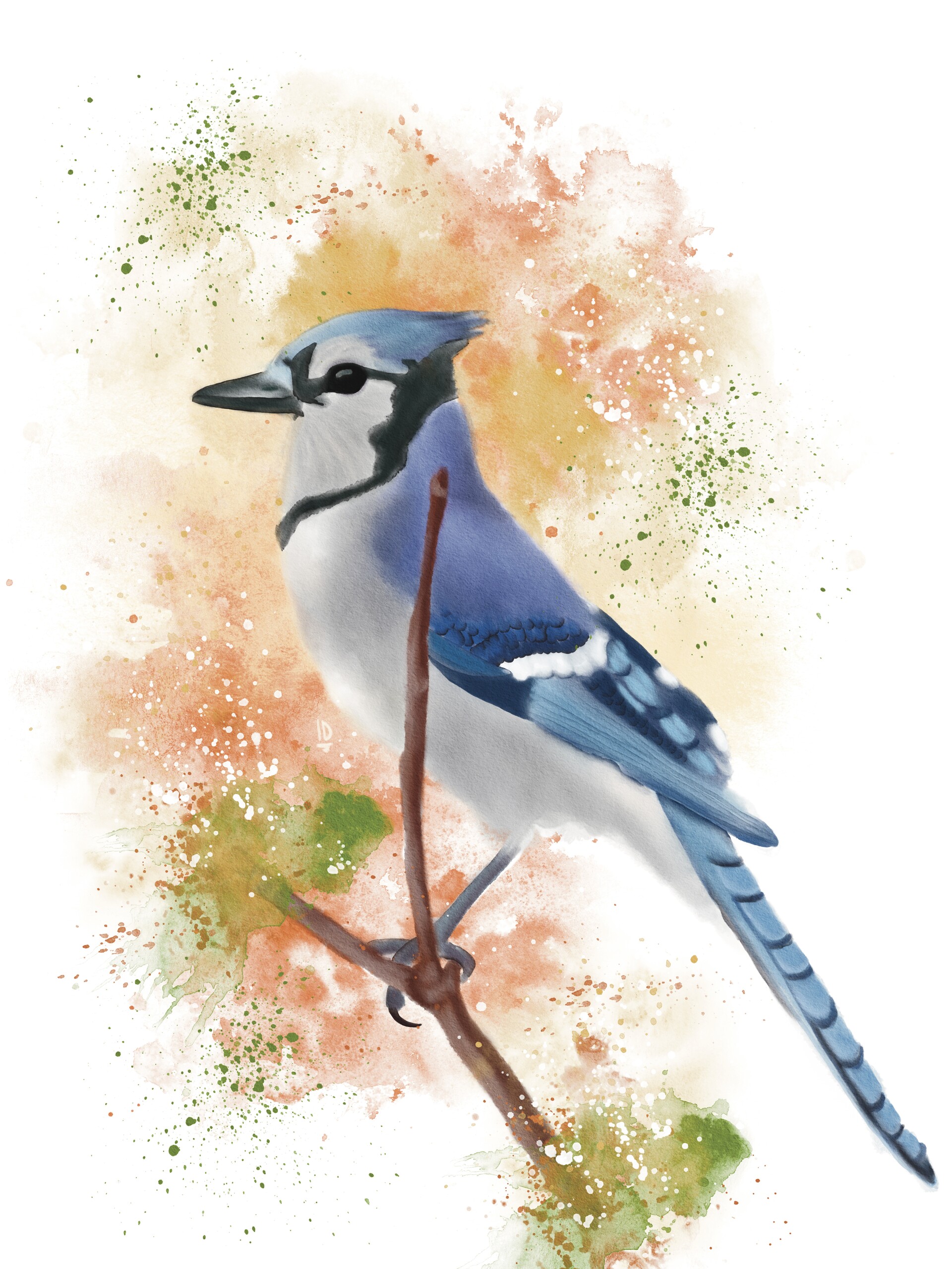 ArtStation - Blue Jay