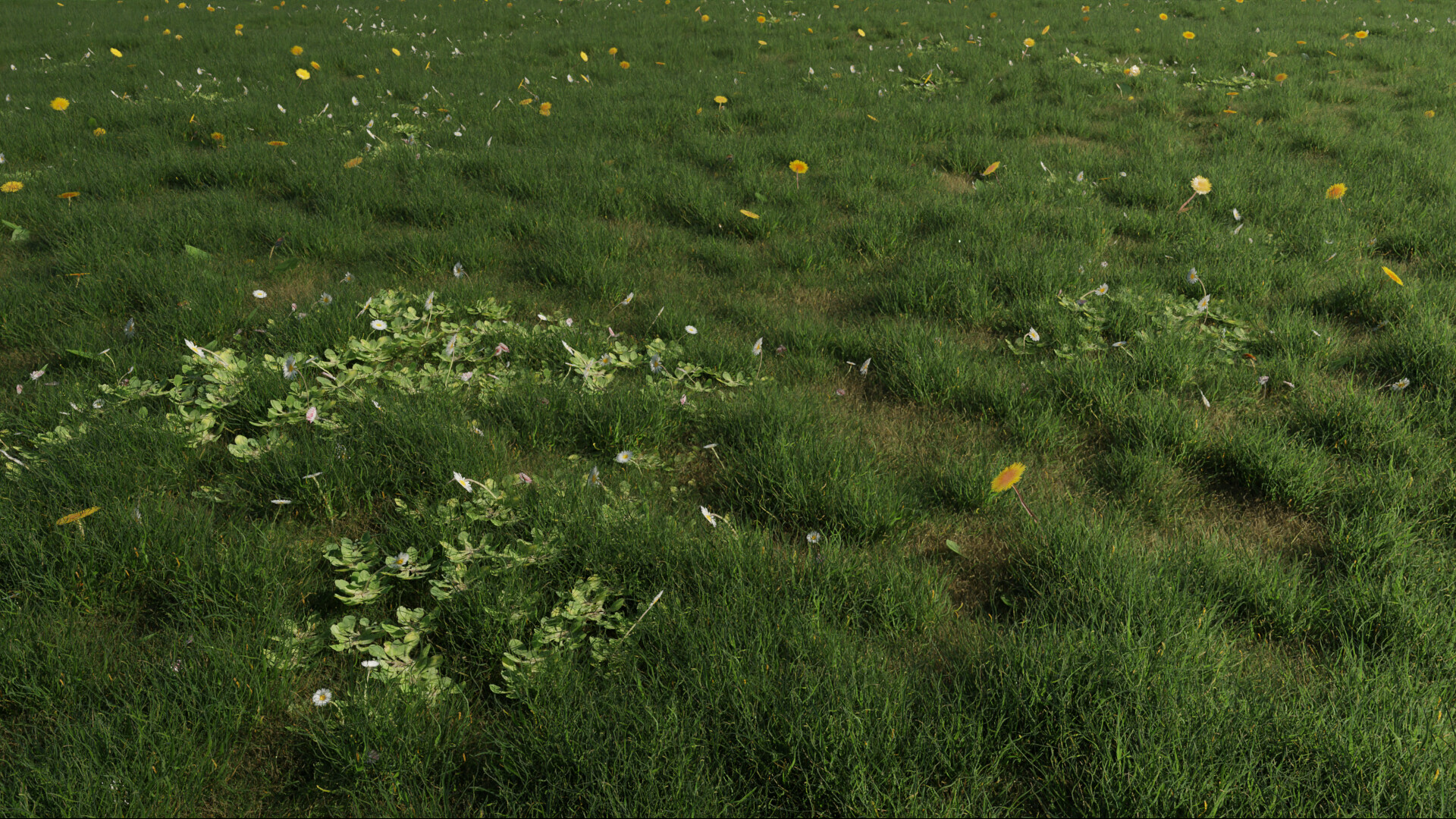 ArtStation - Grass