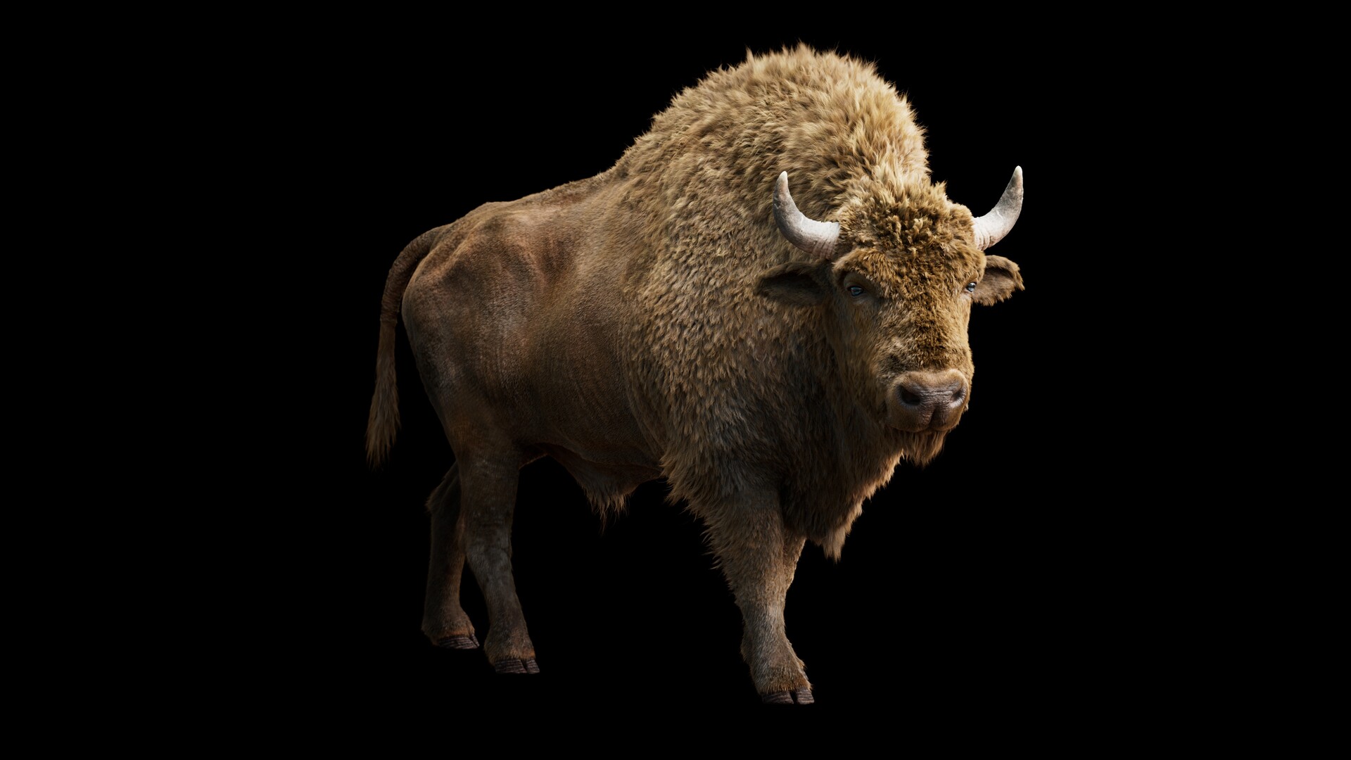 ArtStation - Bison Groom