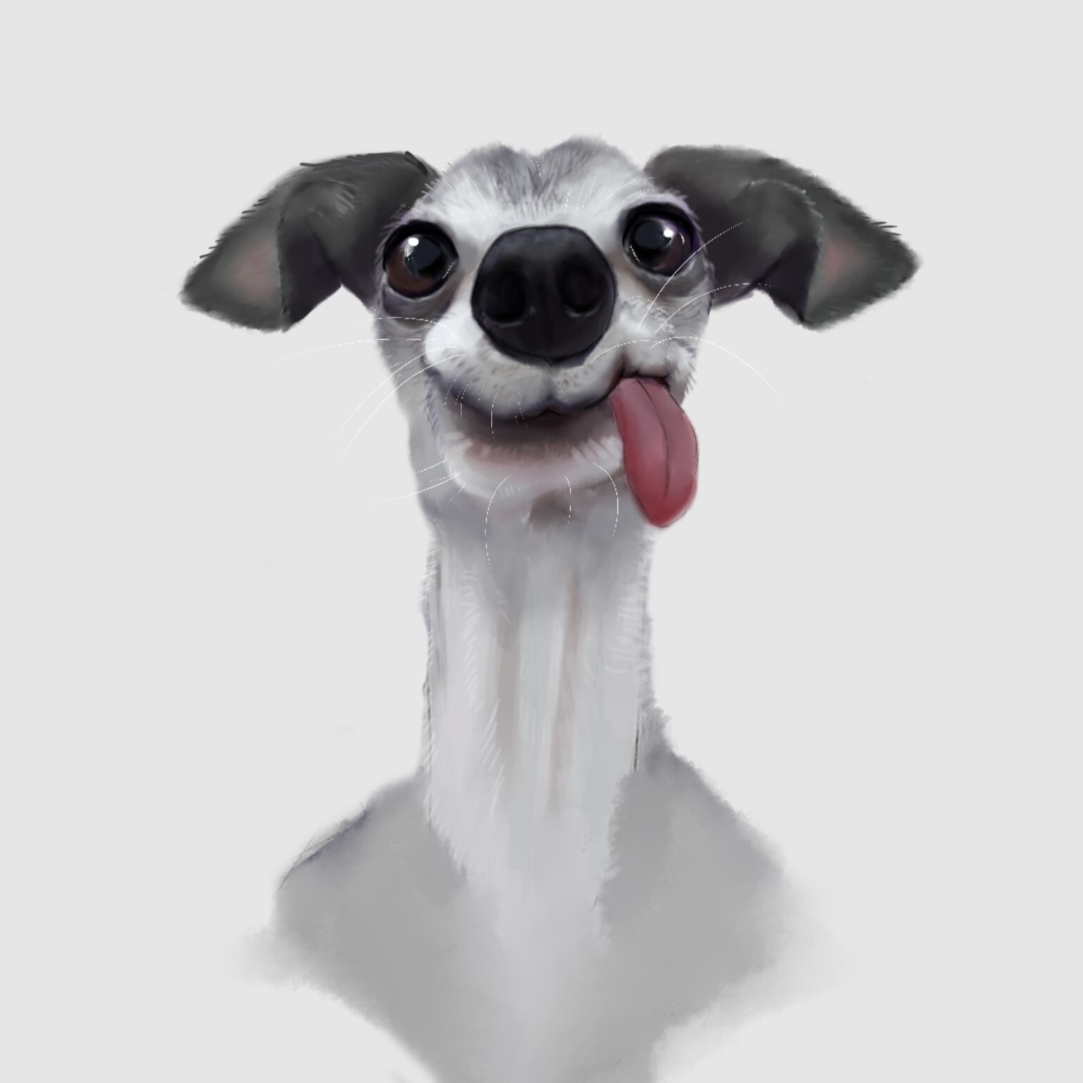 ArtStation - Italian Greyhound
