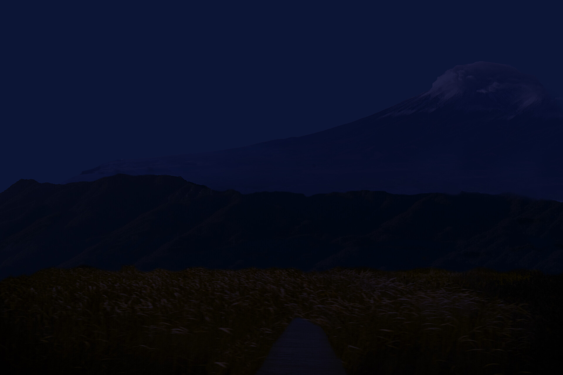 ArtStation - Night Scene
