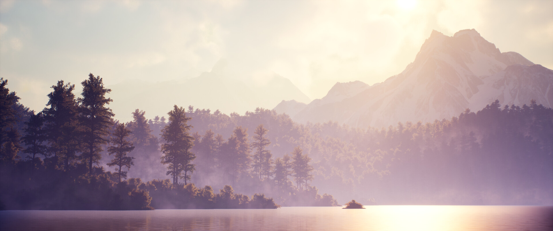 Chris Thompson - Vista Forest Explorations