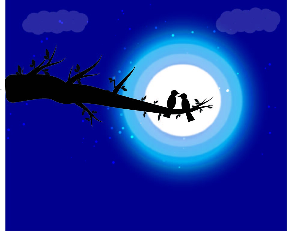 ArtStation - Night Sky Birds Vector Illustration