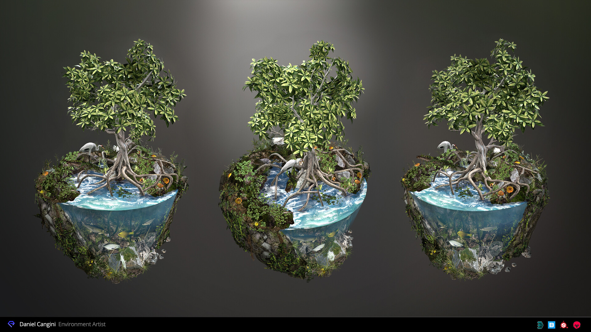 Daniel Cangini portfolio - Unlocking the secrets of mangroves Diorama