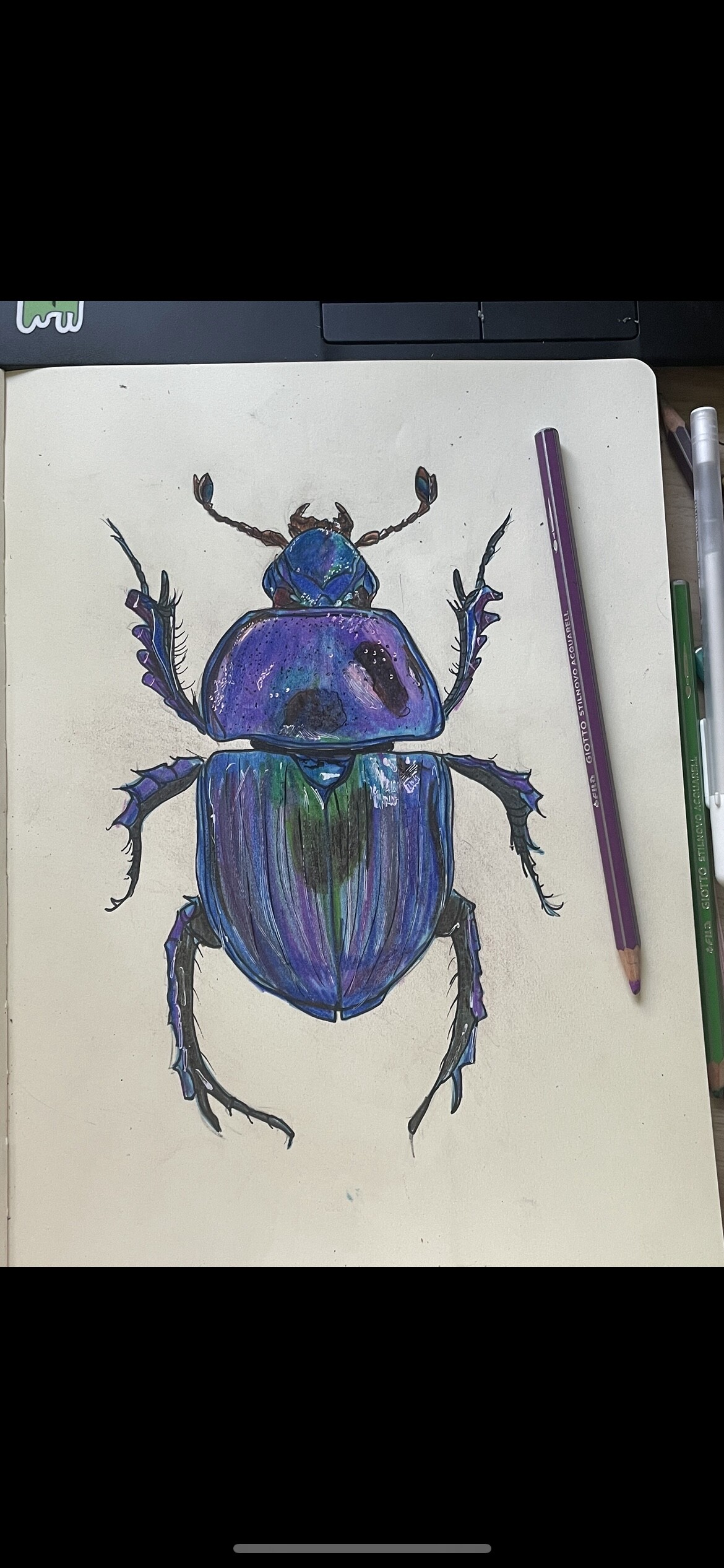 ArtStation - Bug- pencil drawing