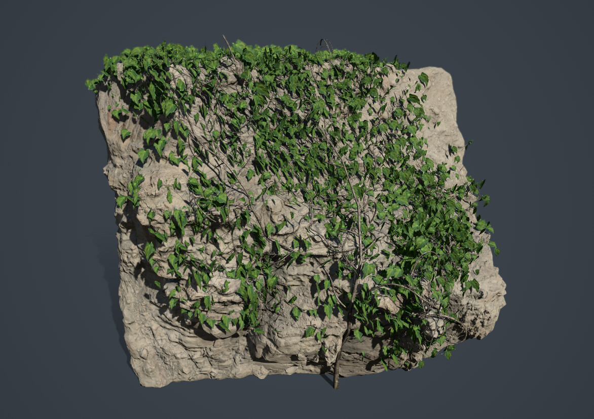ArtStation - Ivy in SpeedTree