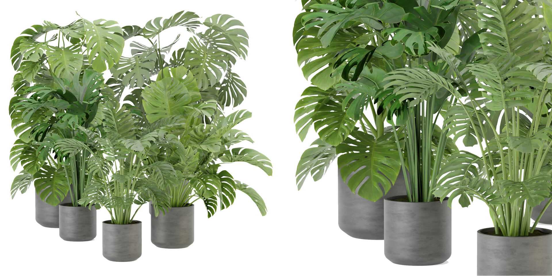 ArtStation - Collection Plant Vol 334 - Blender Model