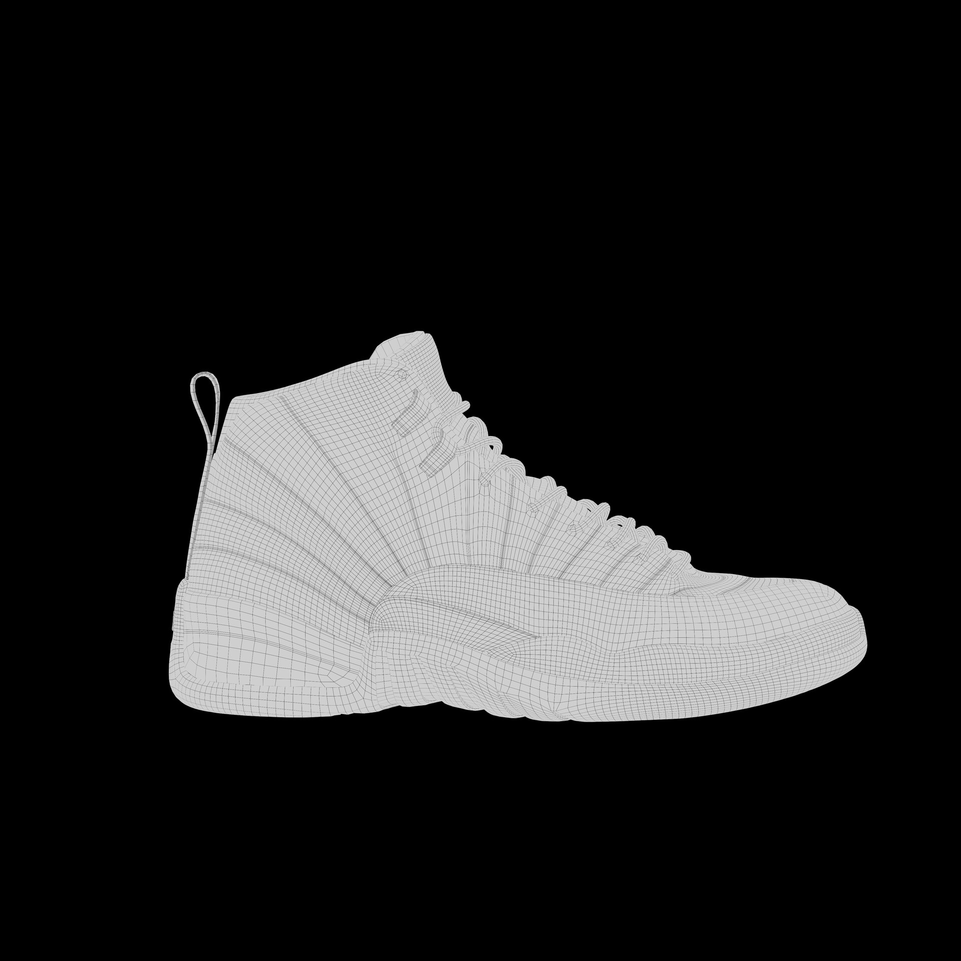 Luke Wise - Nike Air Jordan 12