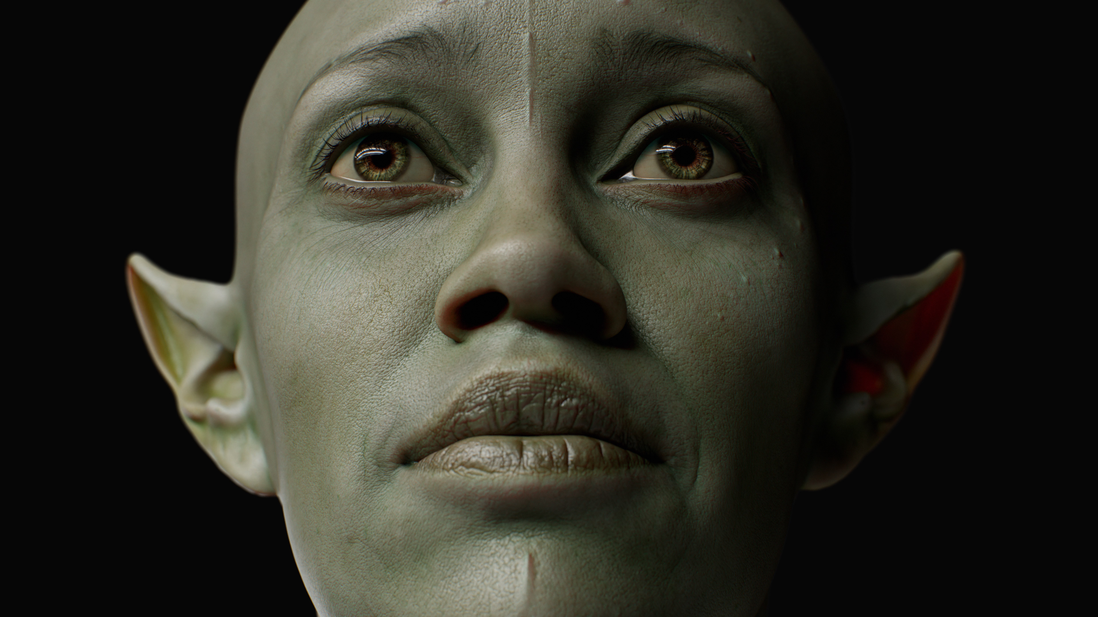 3D Scan Store - Exomorphs