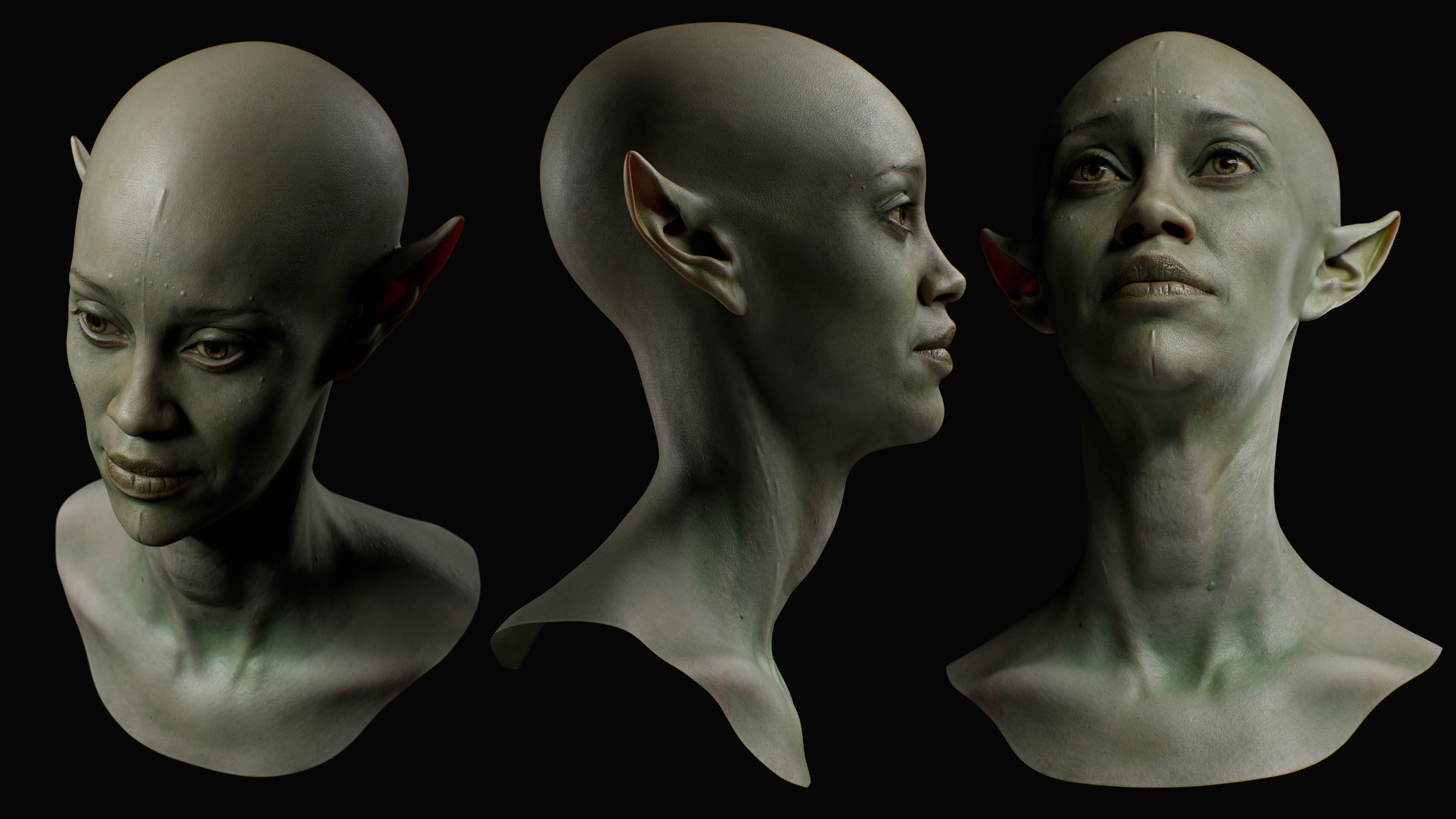 3D Scan Store - Exomorphs