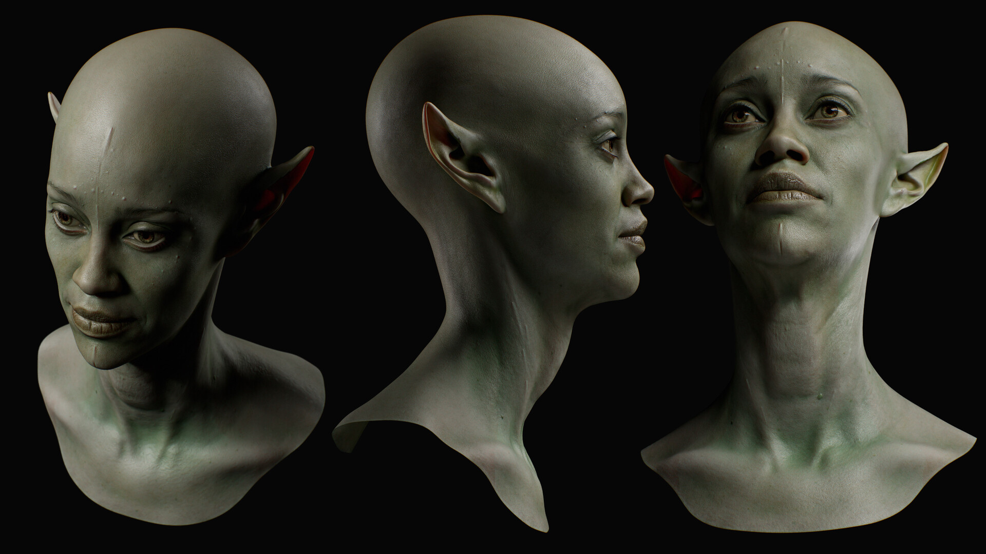 3D Scan Store - Exomorphs