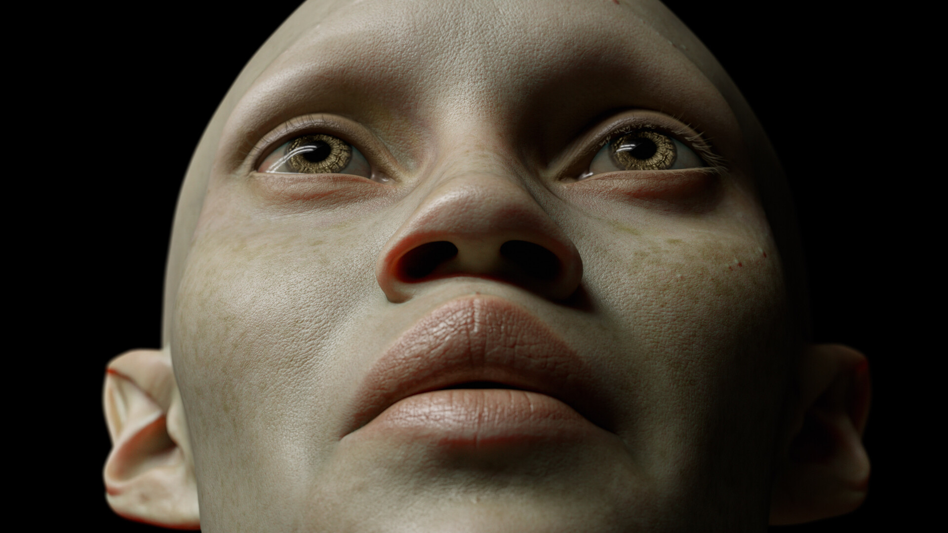 3D Scan Store - Exomorphs