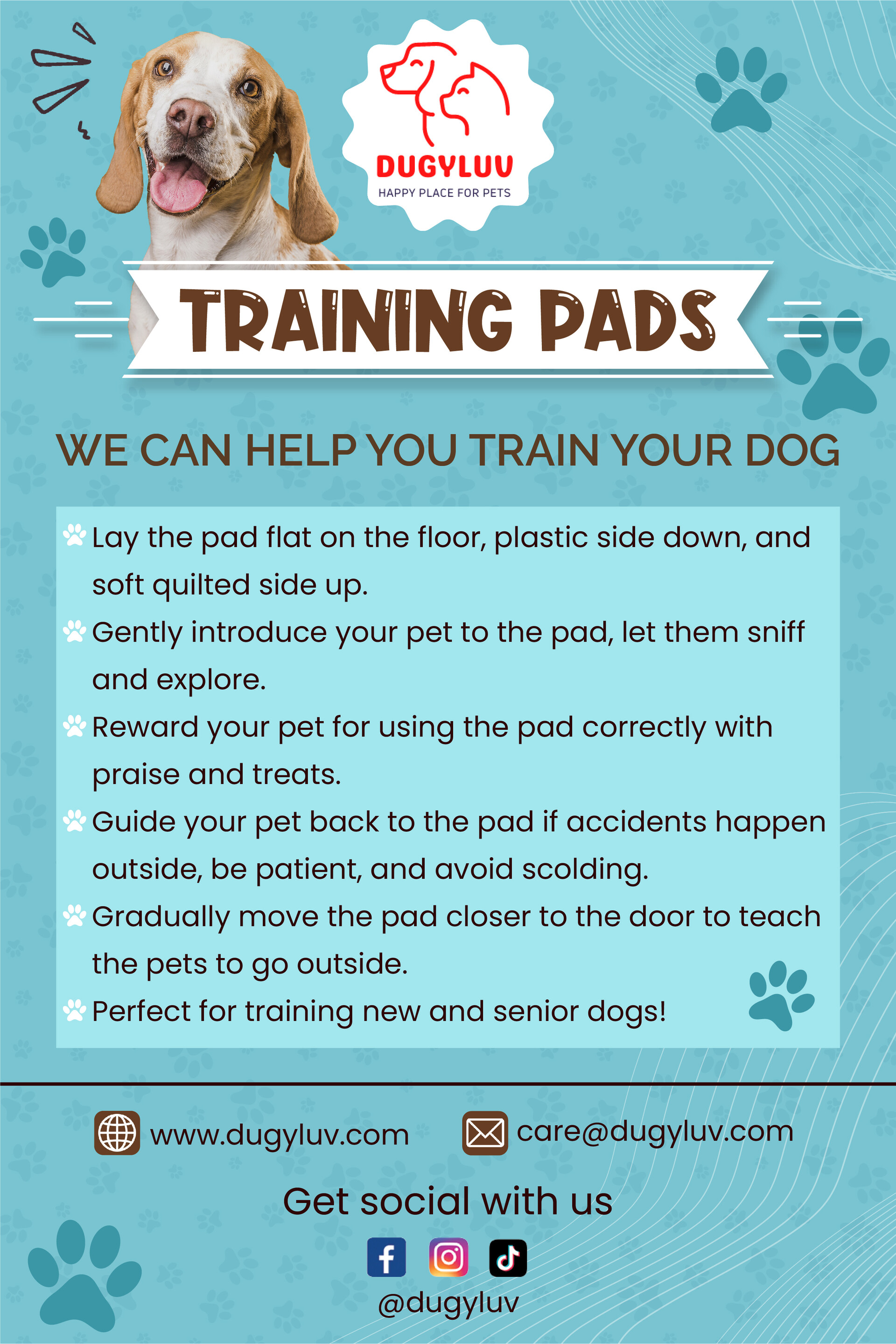 ArtStation - Client Work (DugyLuv)