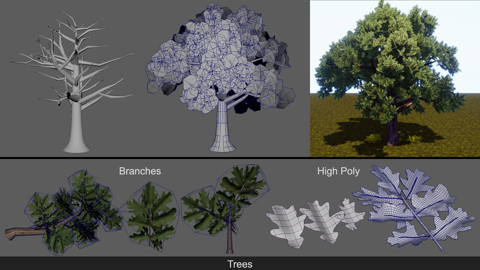 Renhui Yang - Fractured Worlds - Forest
