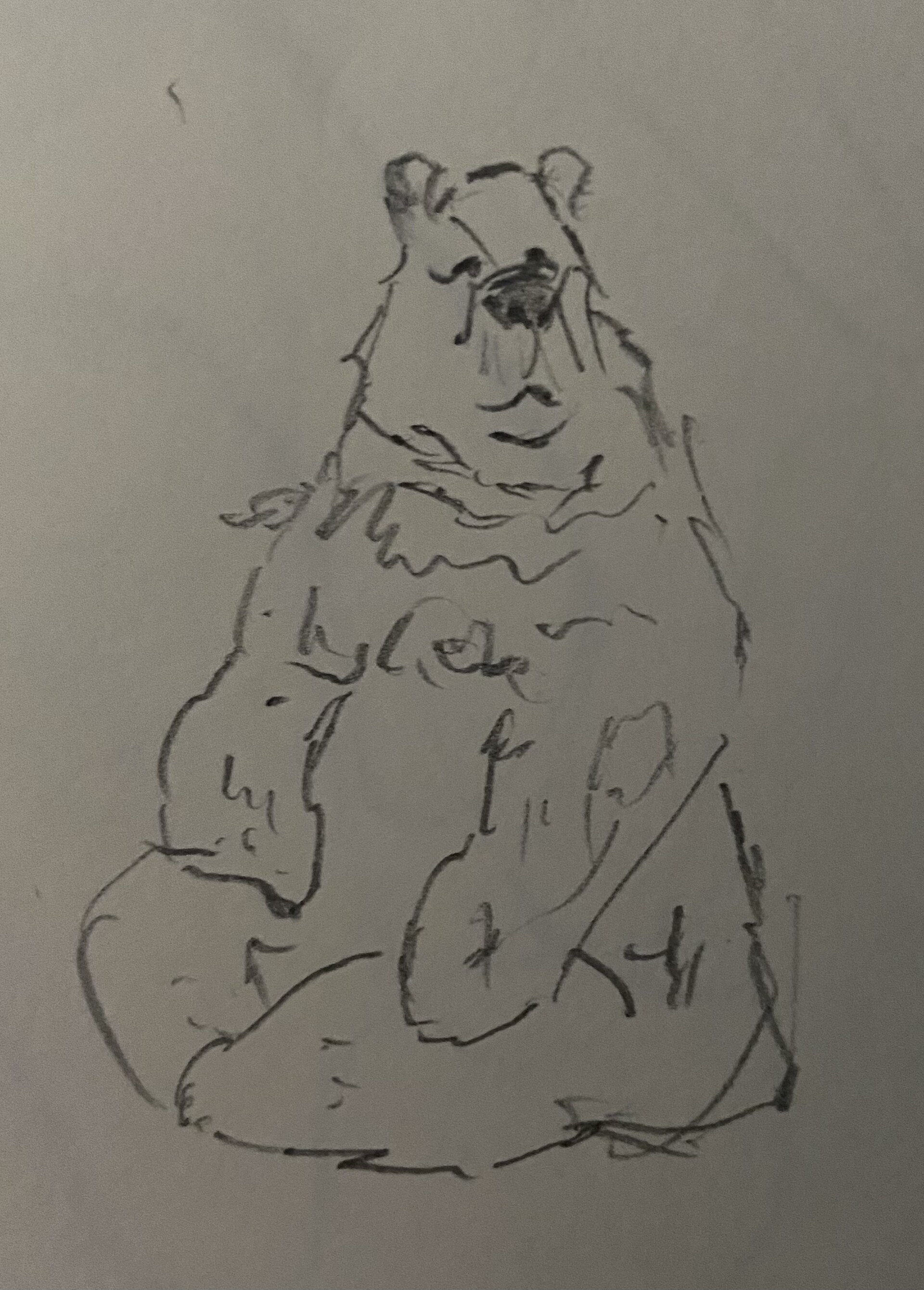 ArtStation - Chilling grizz sketch. Enjoy