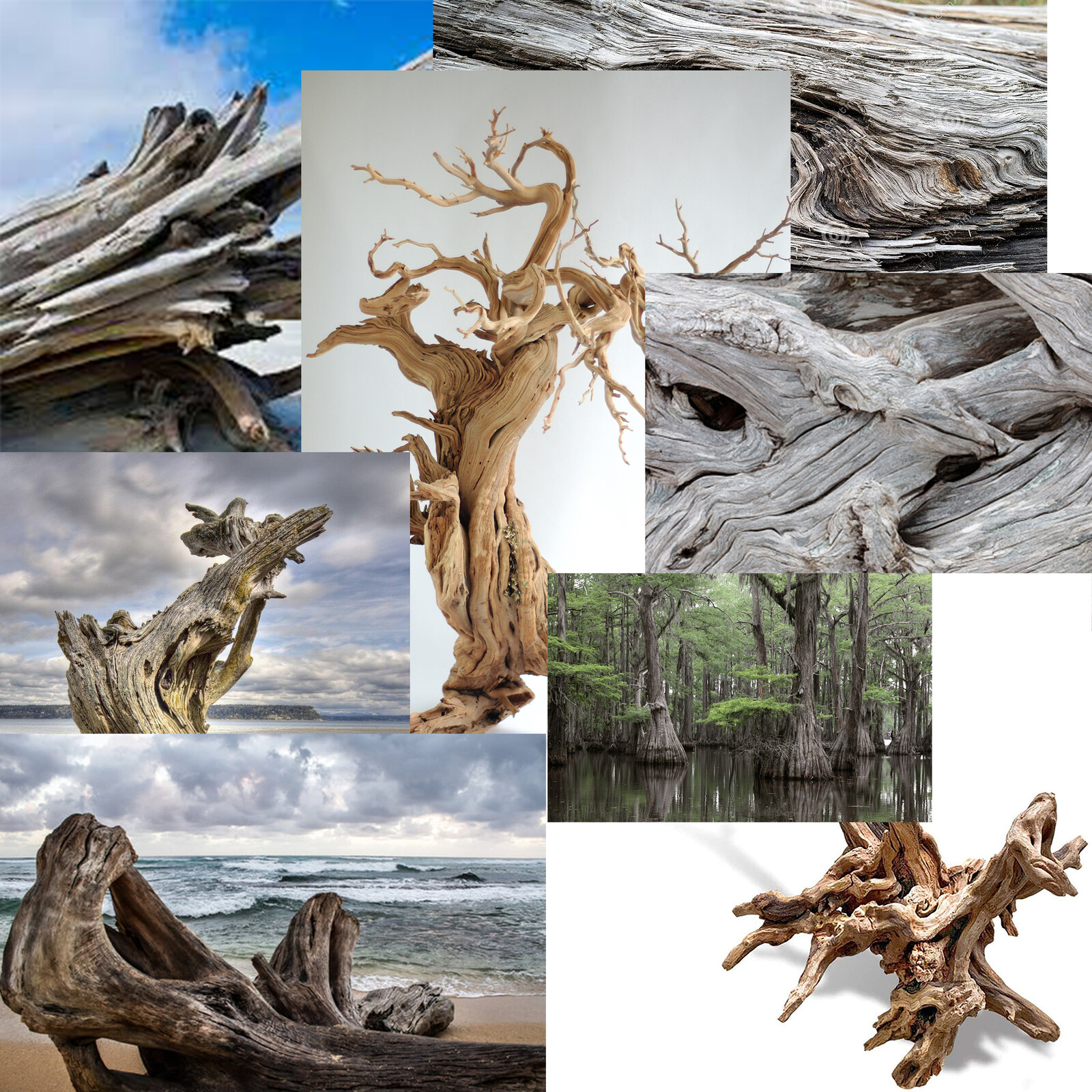 Timothy M. Joyce - Twigman 1st Variant. Creature character for The ...