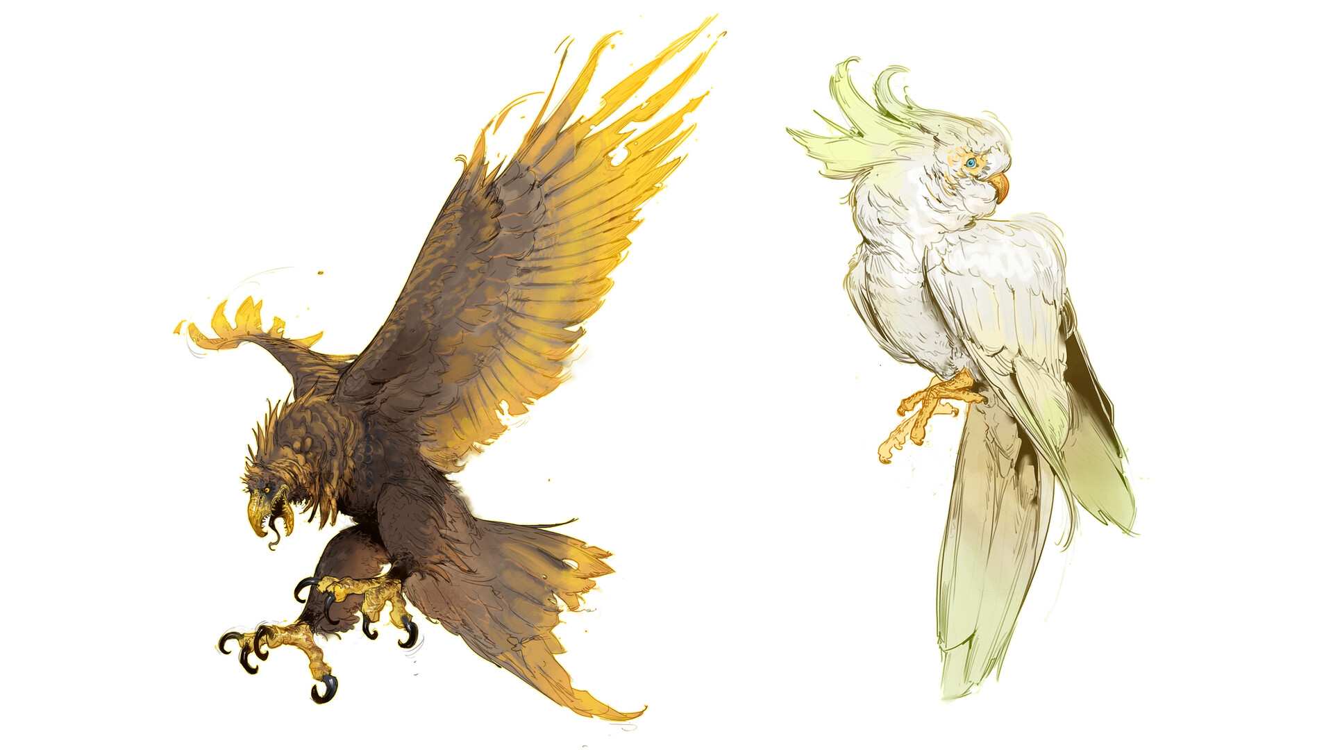 Frith Chronicles Beastiary Drawings by Ognjen Sporin : r/ImaginaryBeasts