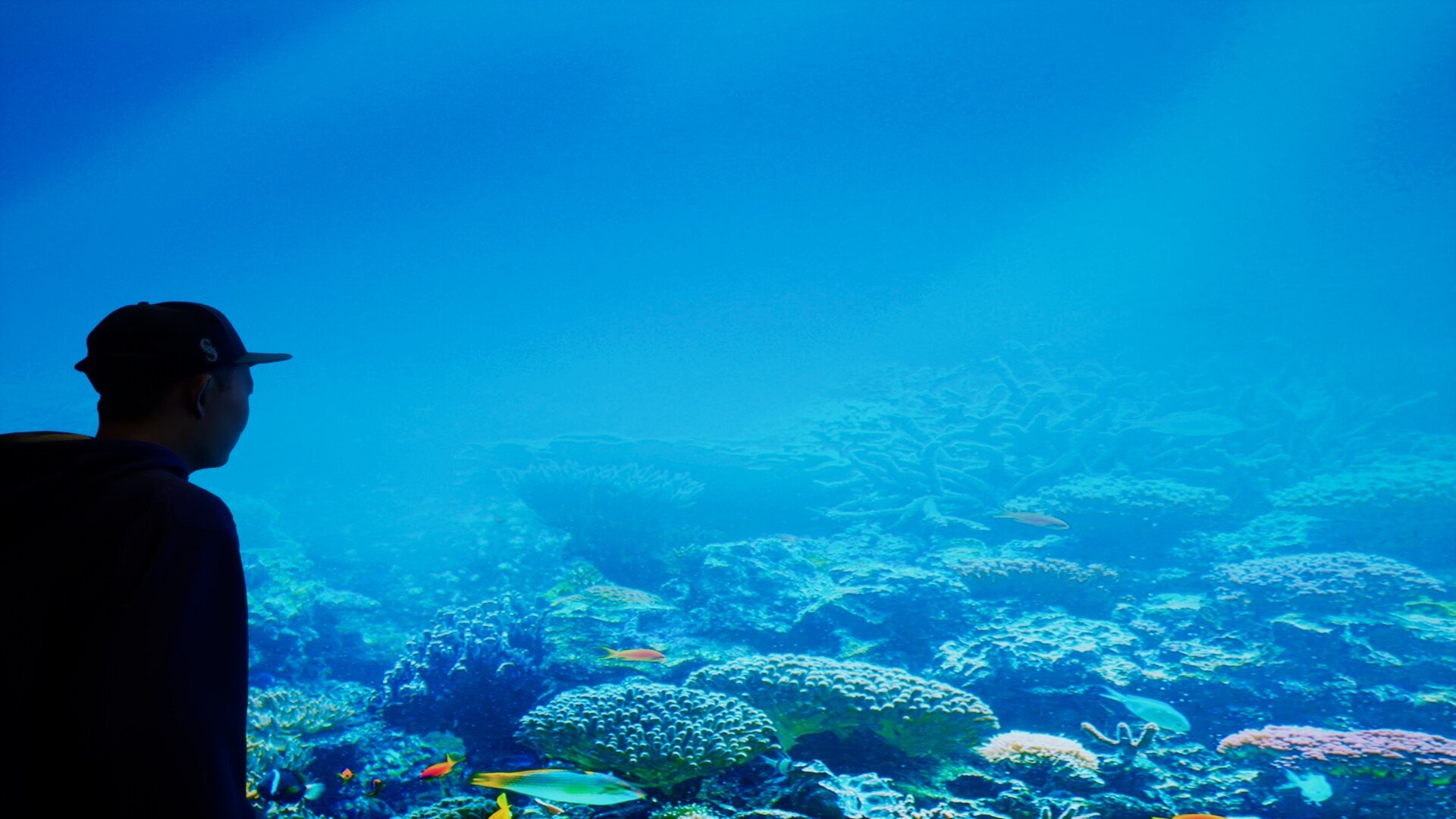 ArtStation - Maritime museum project