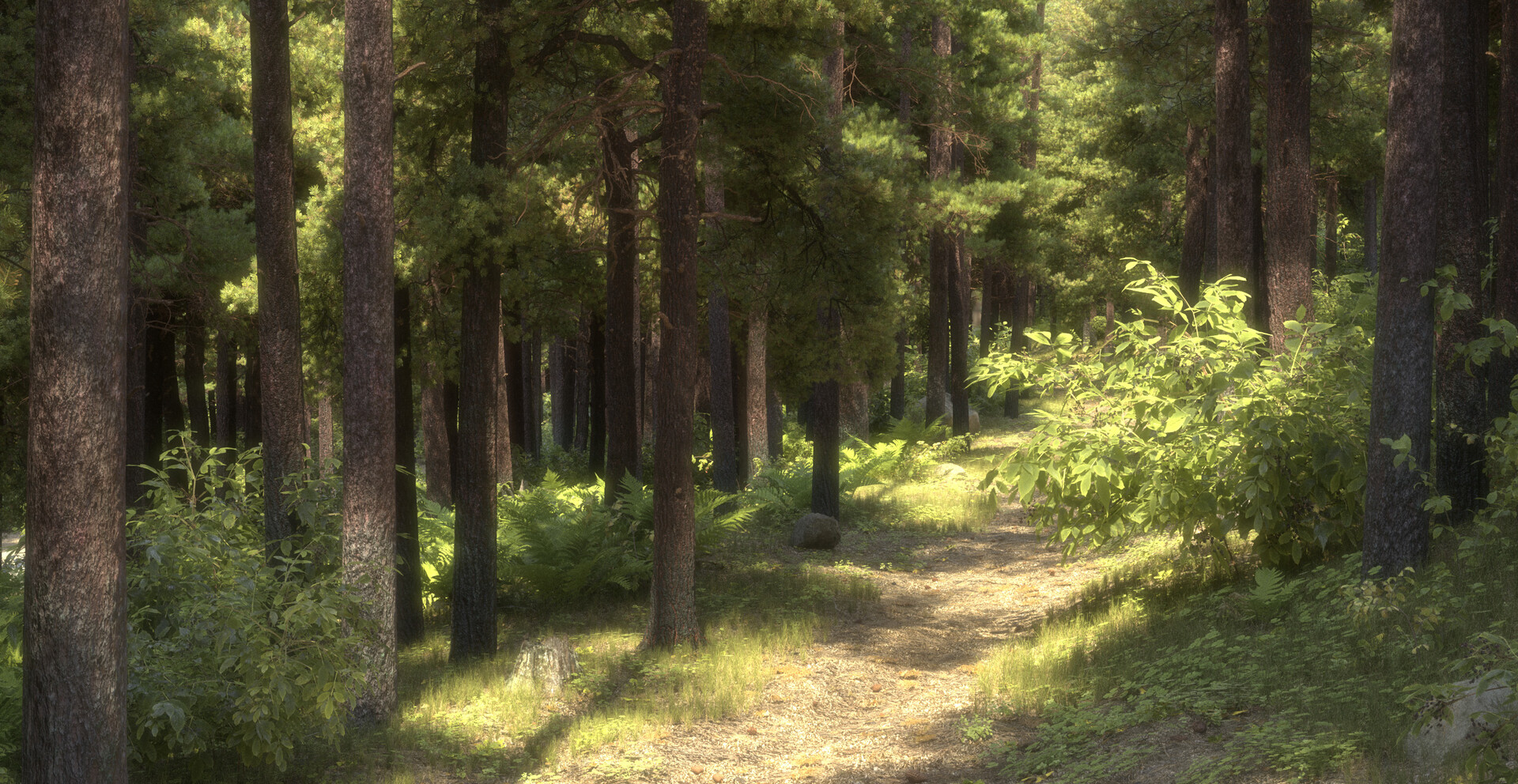 Jens Kafitz - Forest Interior