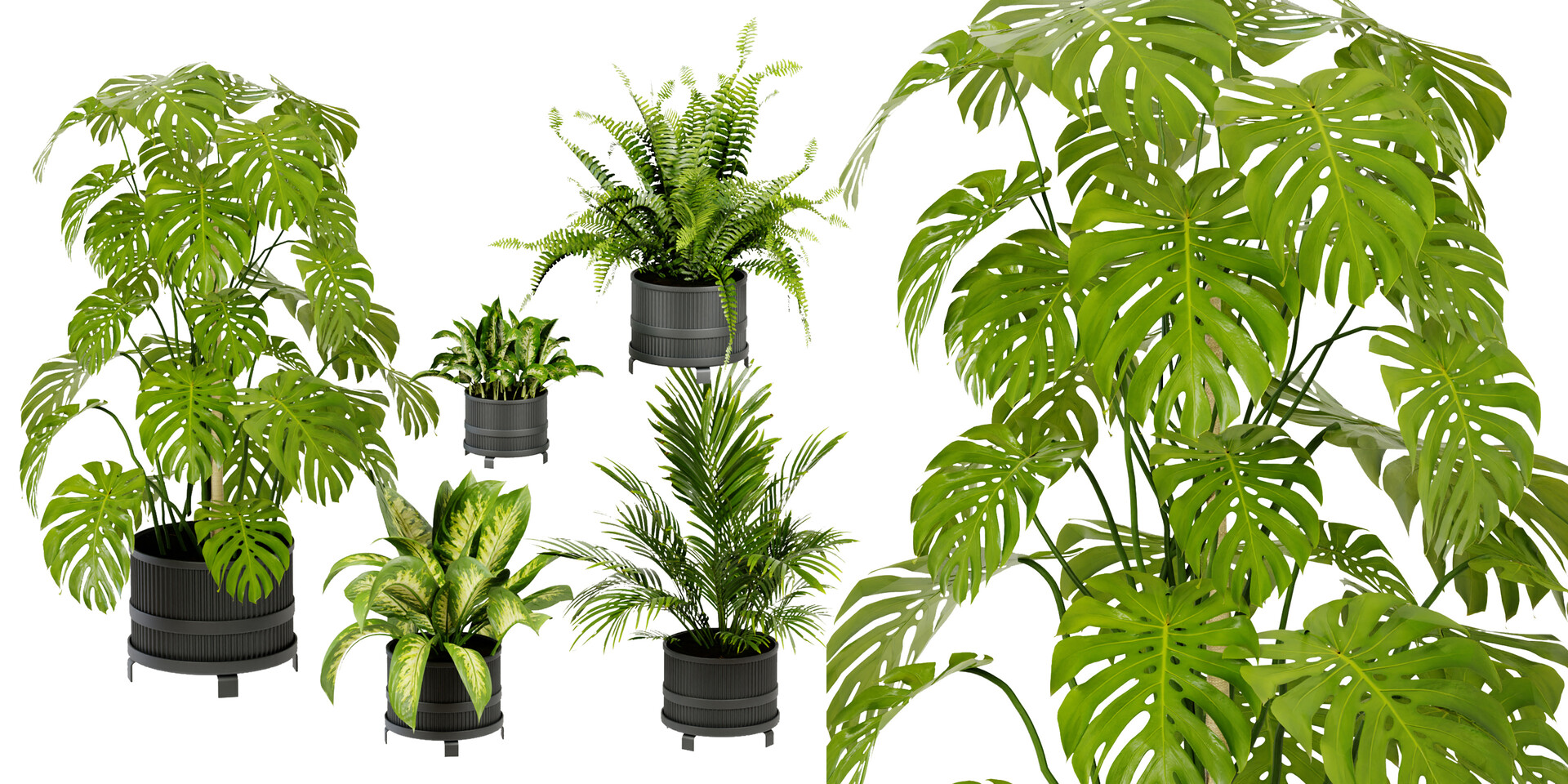 ArtStation - Collection Plant Vol 384 - Blender Model