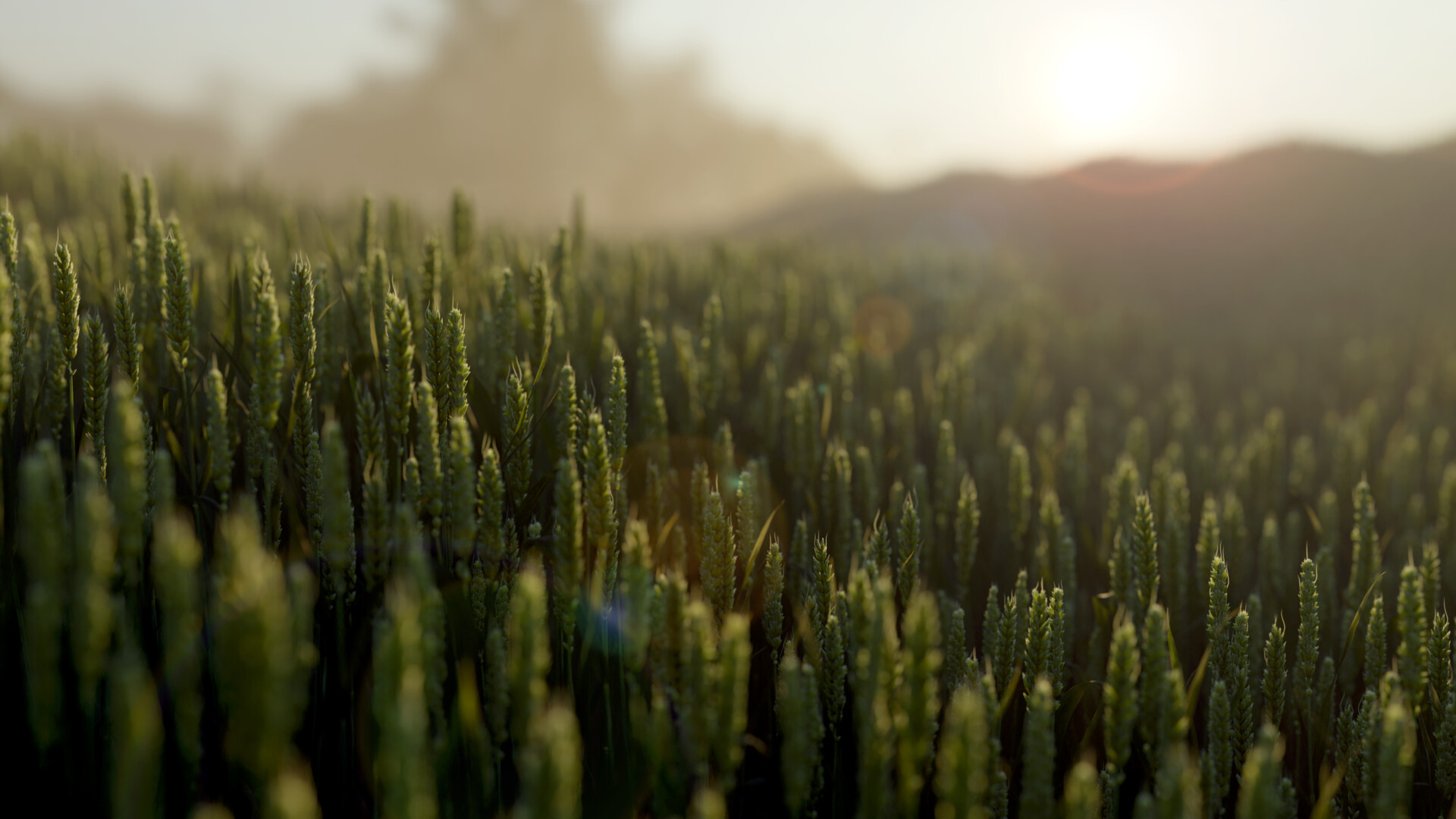 iwo pilc - 3D Crops Collection - Textures.com