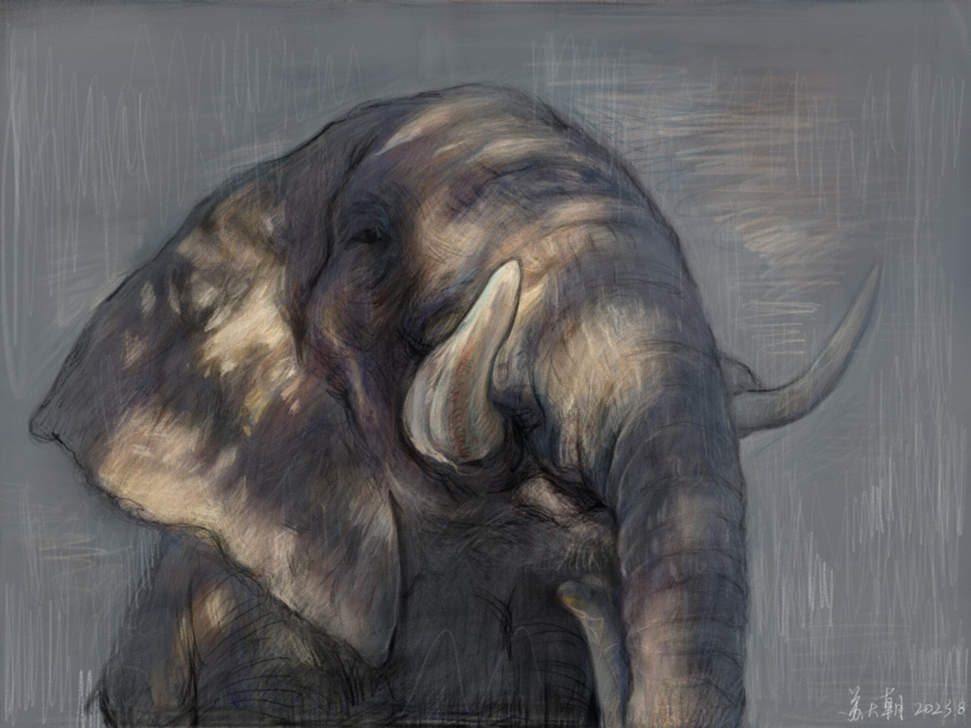 ArtStation - elephant