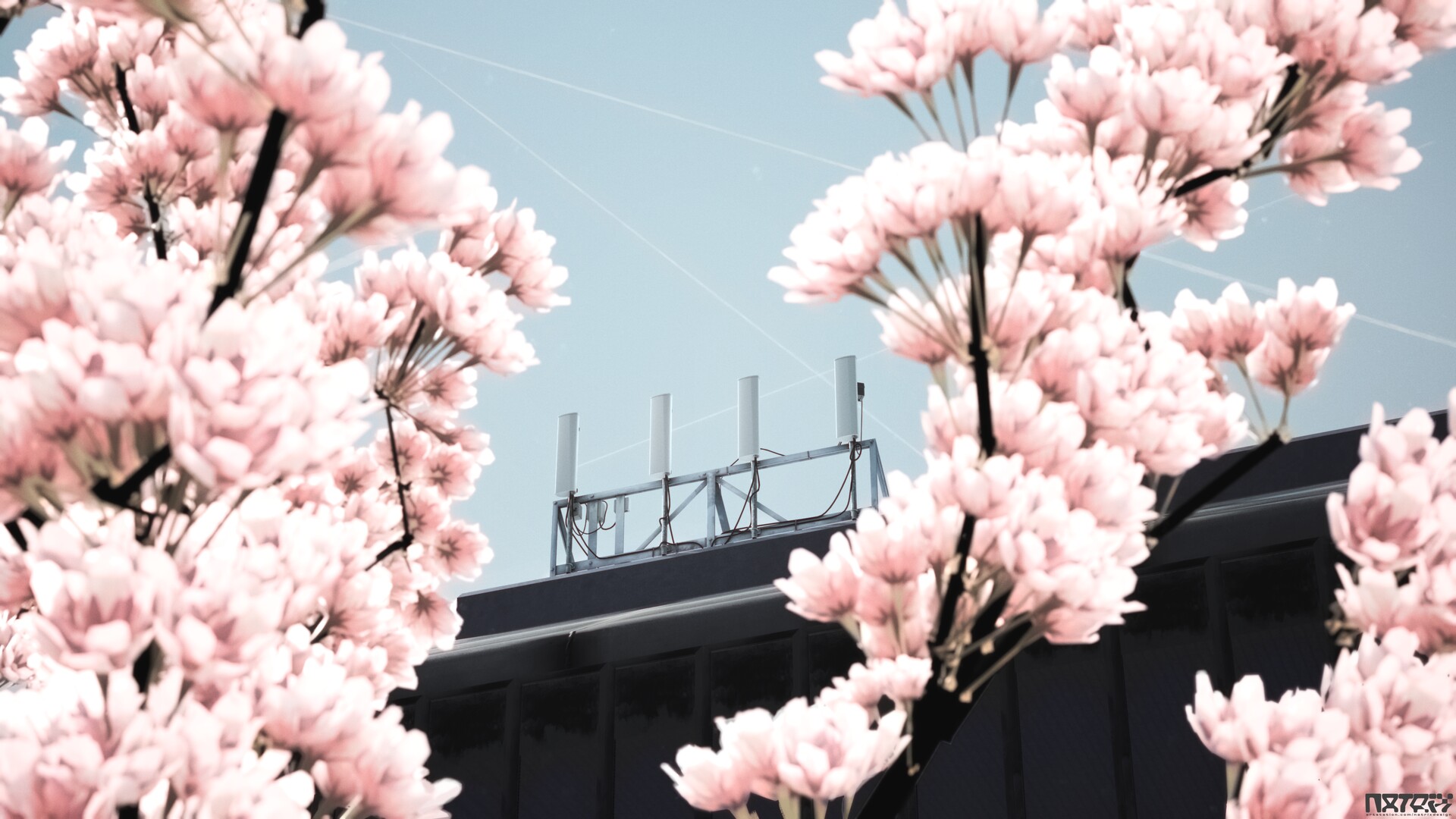 Natrix - The Embassy