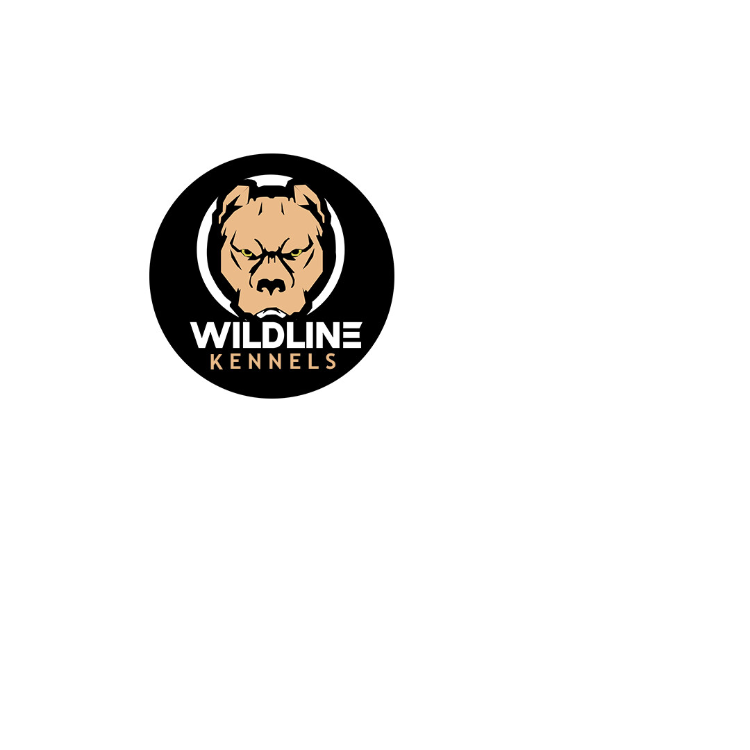 ArtStation - logo making