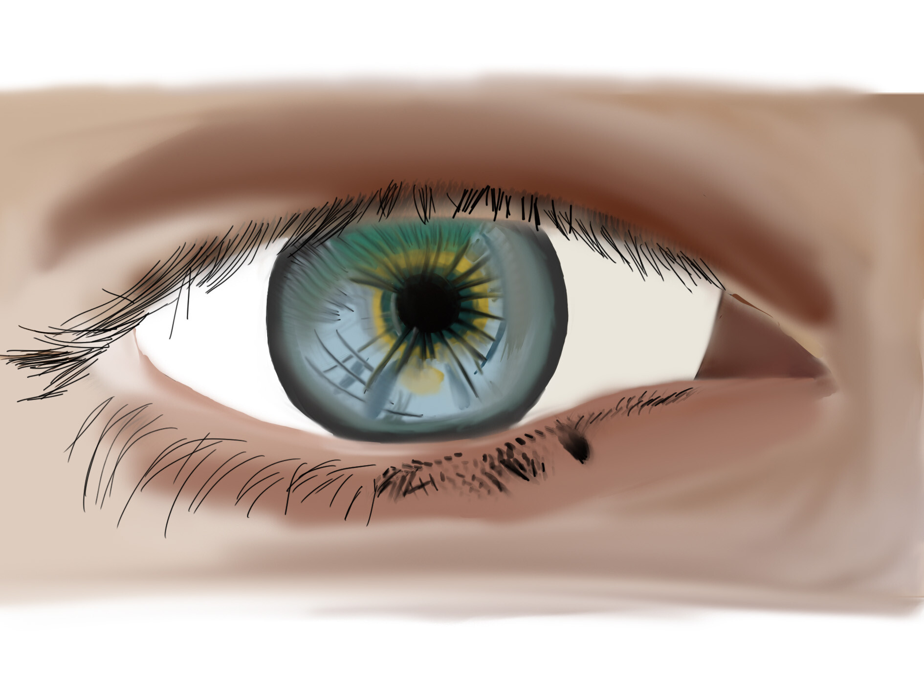 ArtStation - Eye drawing exercise