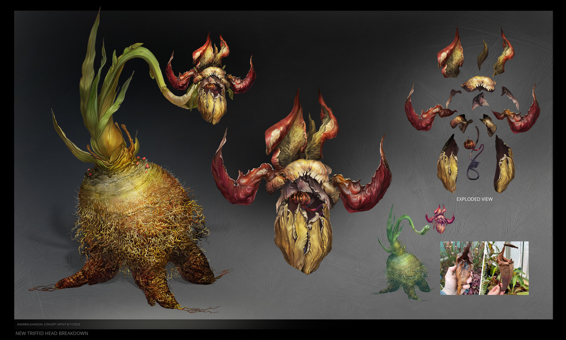 Andrew Johnson - Triffid concept, "The Day of the Triffids"