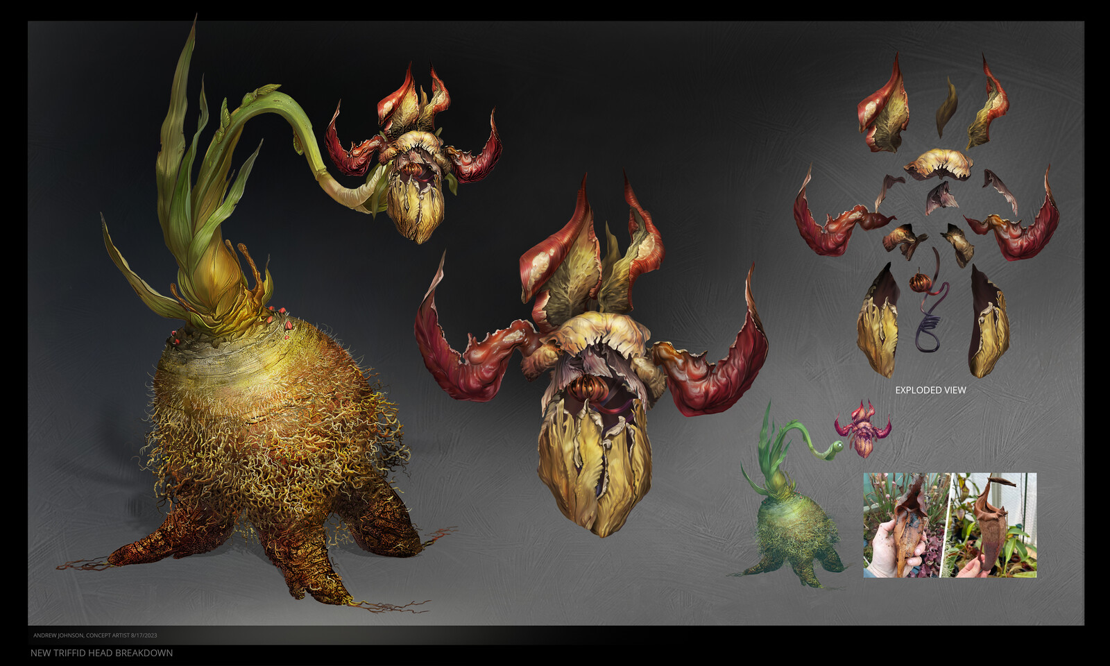 Andrew Johnson - Triffid concept, "The Day of the Triffids"