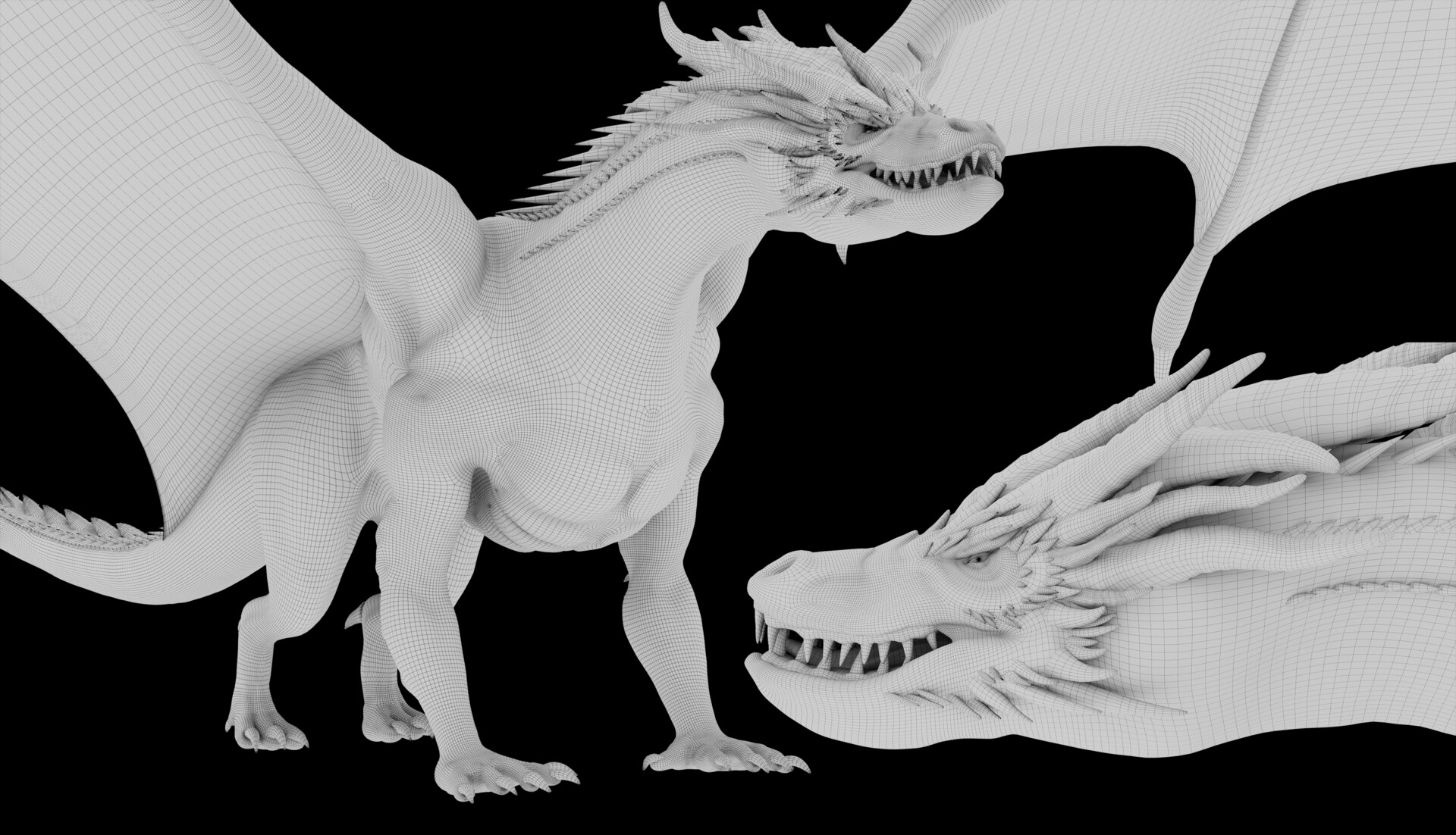 Korman Nagaru - Dragon Flight - Animation