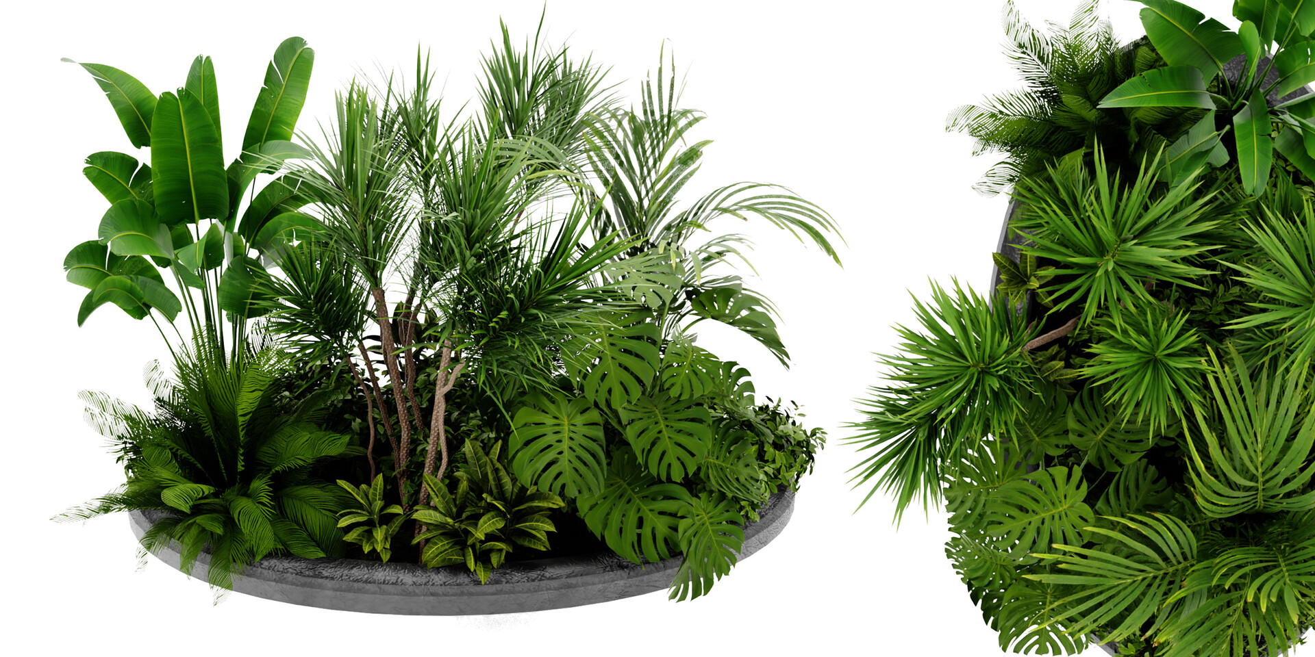 ArtStation - Collection Plant Vol 450 - Blender Model
