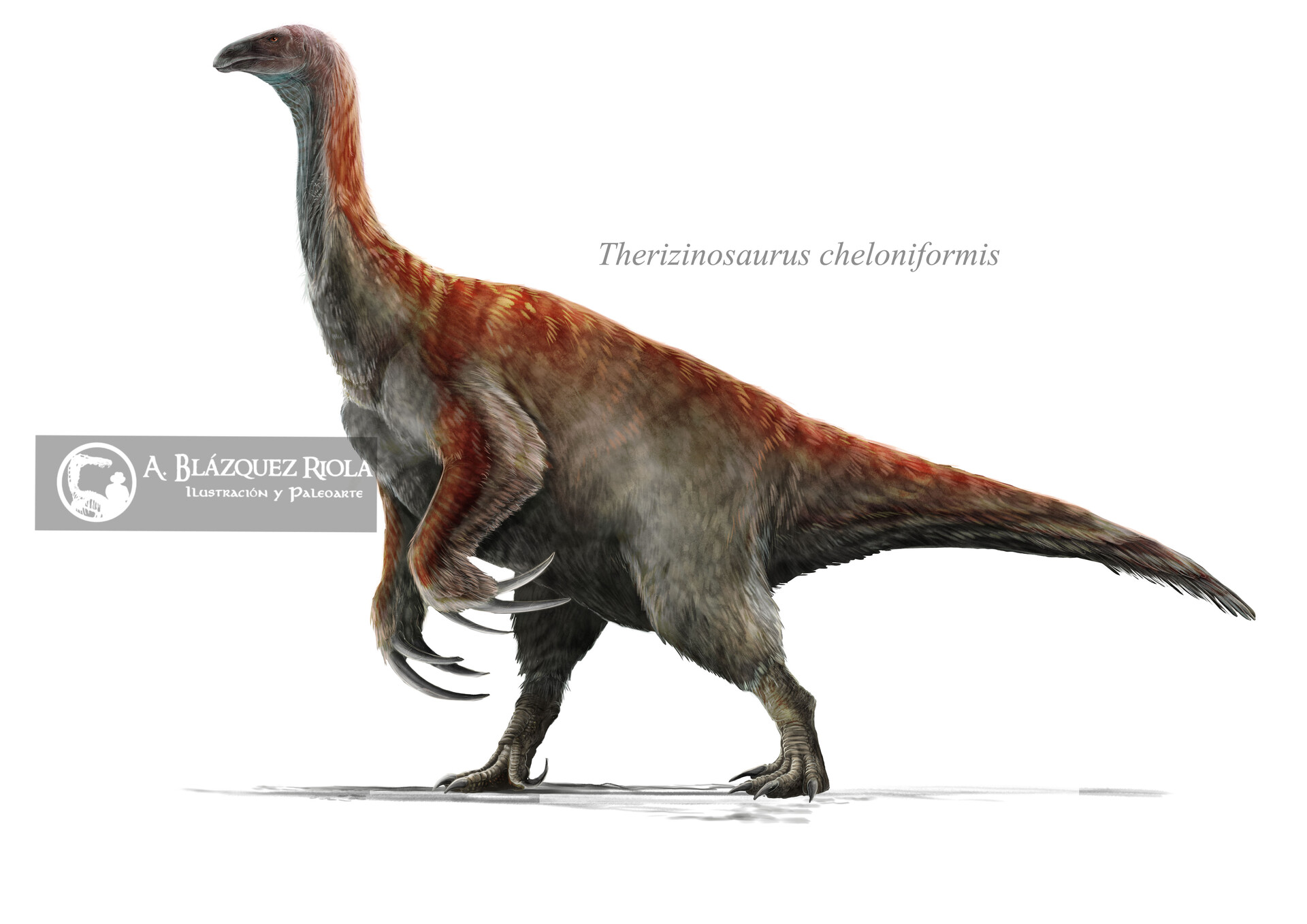 ArtStation - Therizinosaurus cheloniformis - 2022