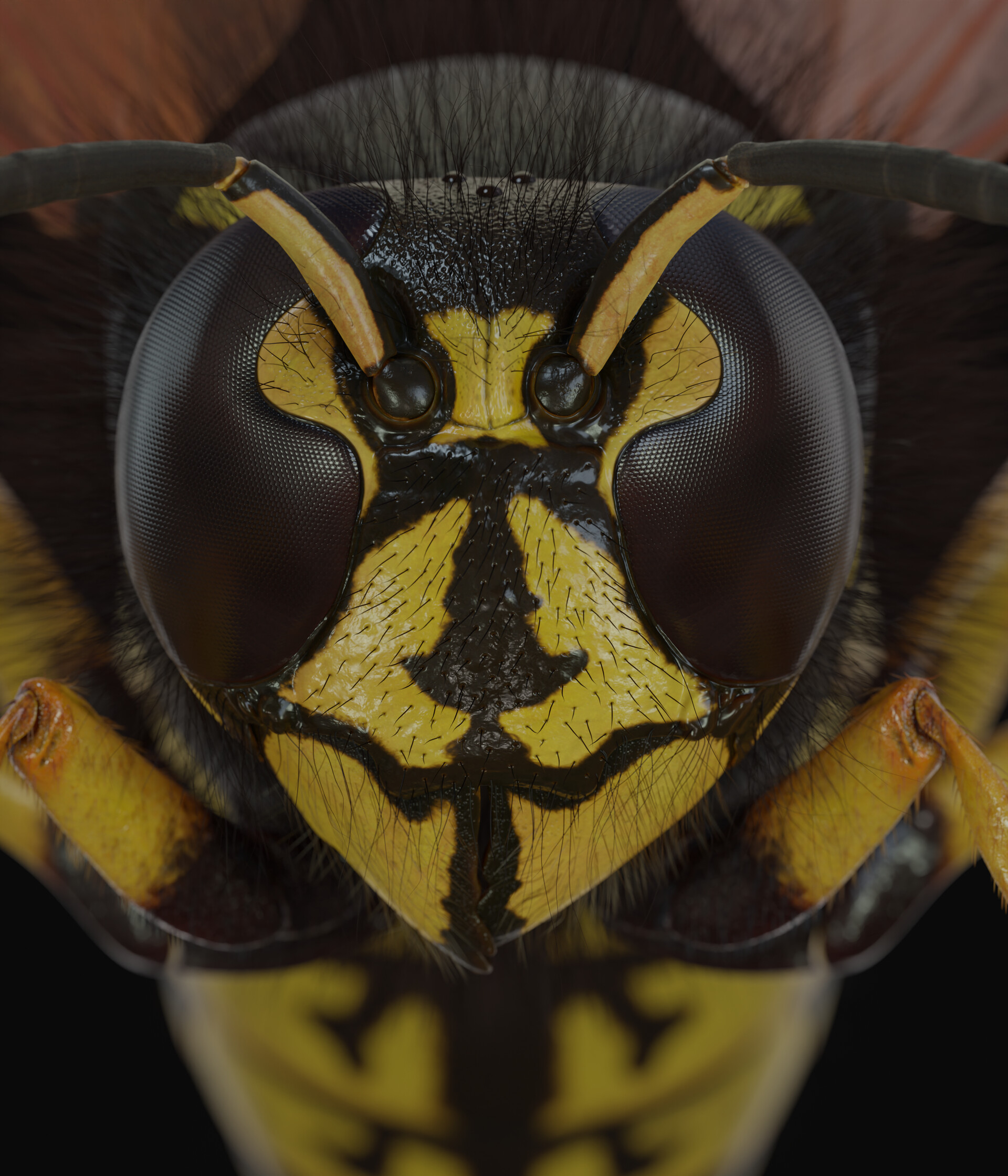 ArtStation - 3D wasp