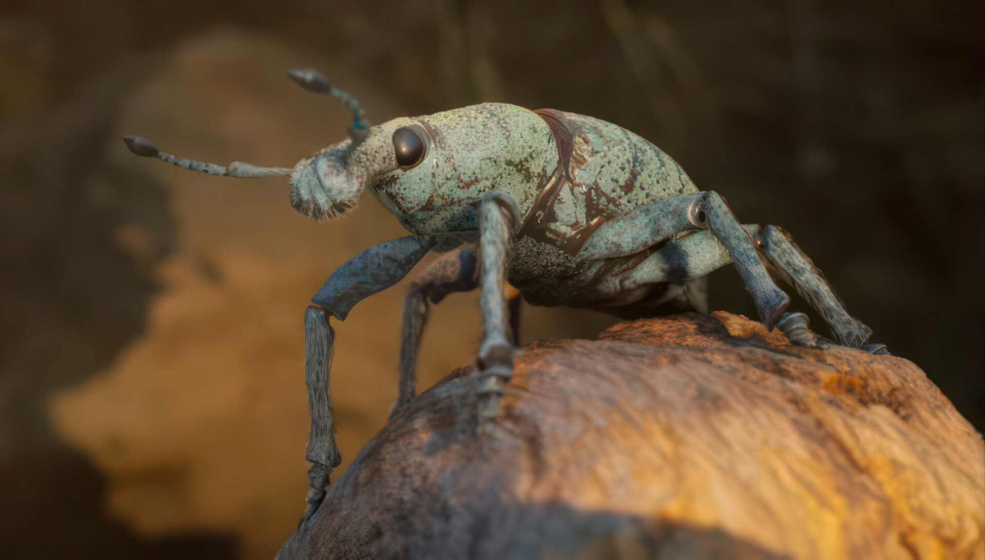 ArtStation - Blue Bug