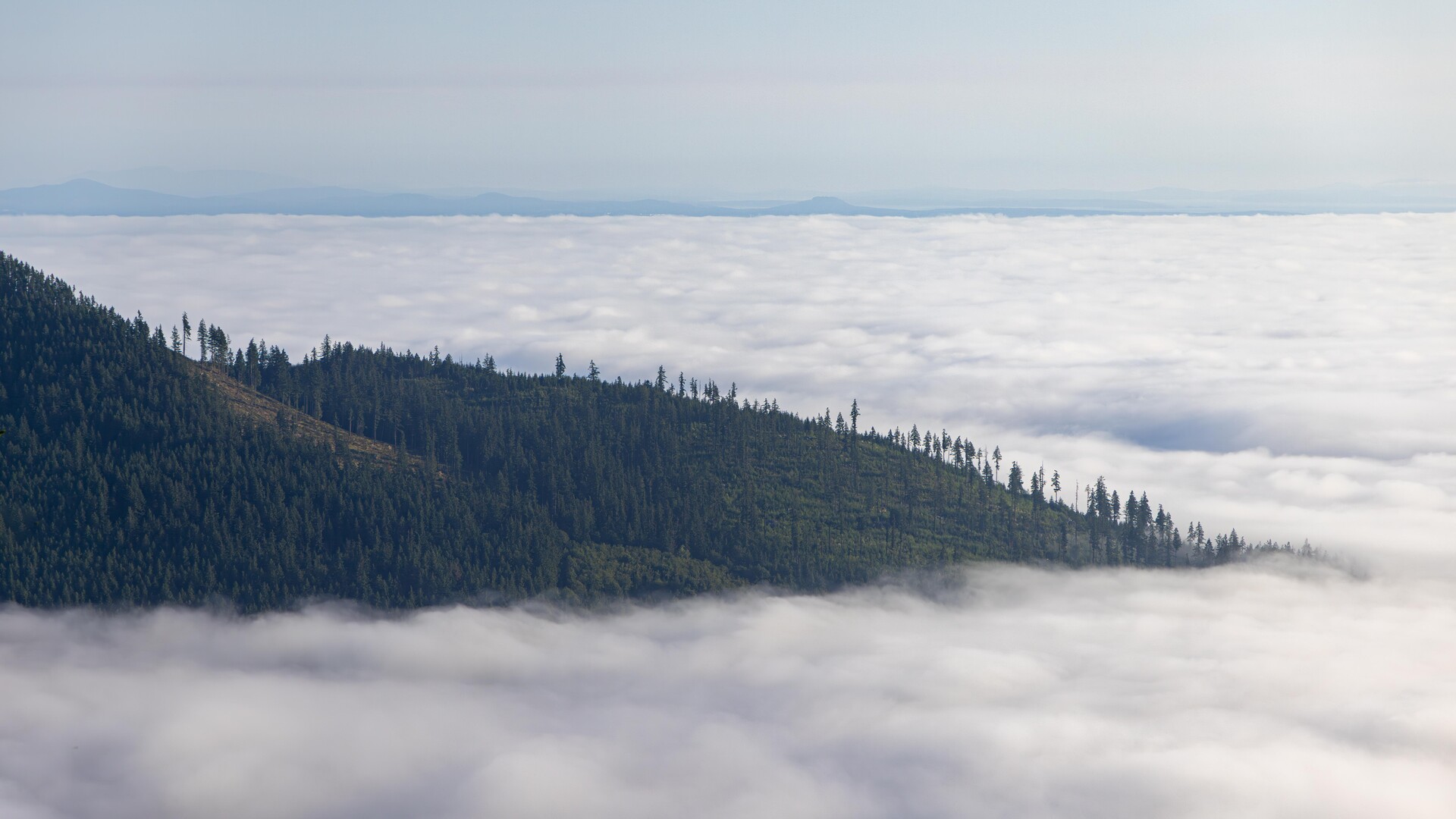 Matt Smith - Photography