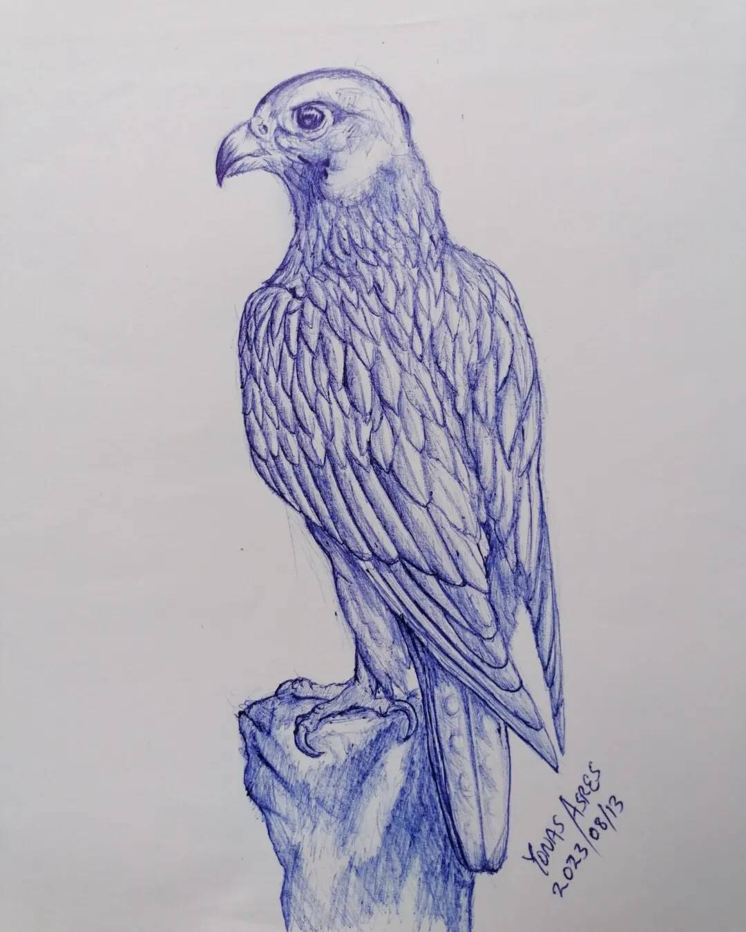 ArtStation - A Falcon