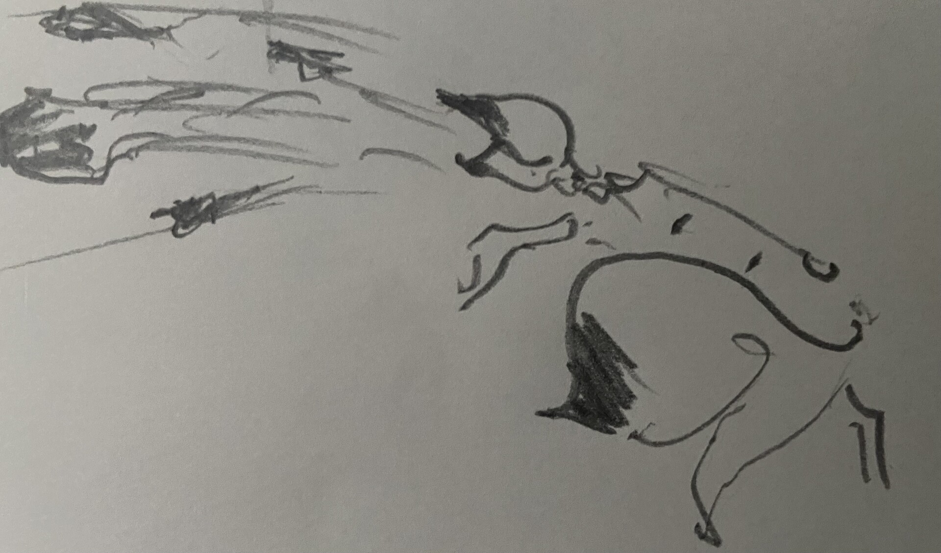 ArtStation - Crab loose attack sketch! Enj