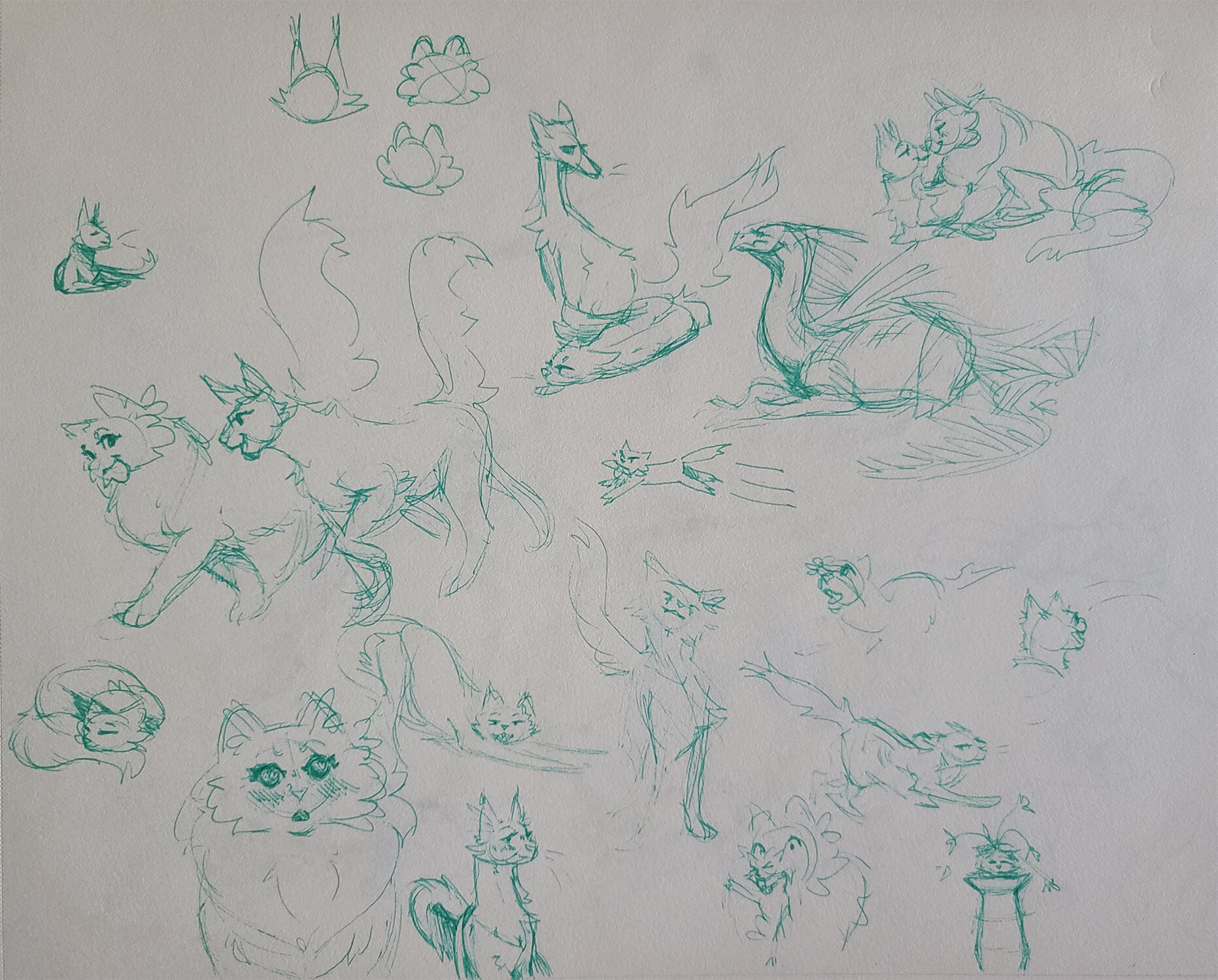 ArtStation - Cat Character Sketches