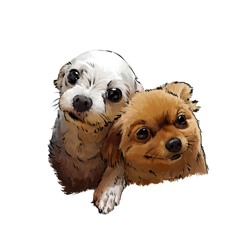 Cute Animal Sketch Tumblr