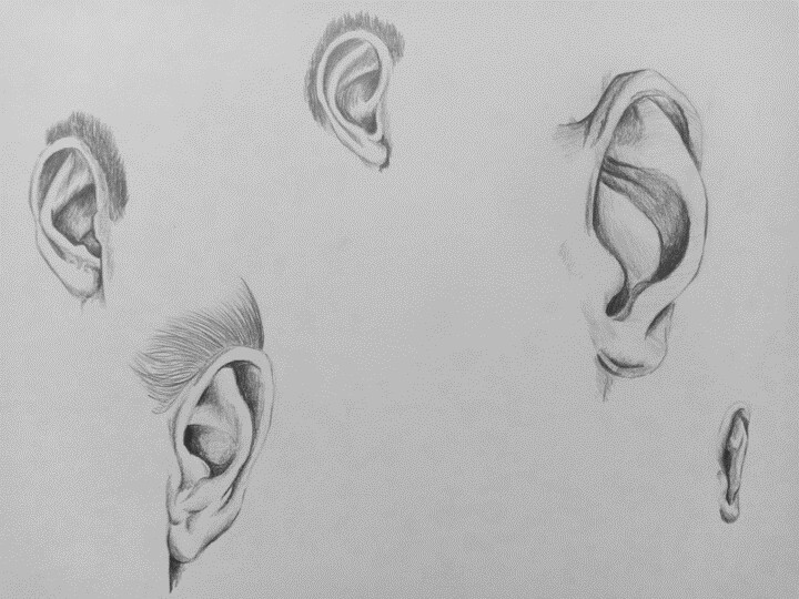 ArtStation - Ear sketches
