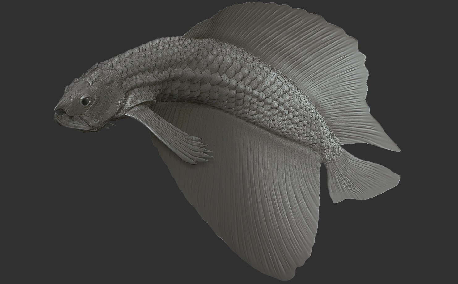 Kevin Stumme - Frillfish | Kulipari - An Army of Frogs