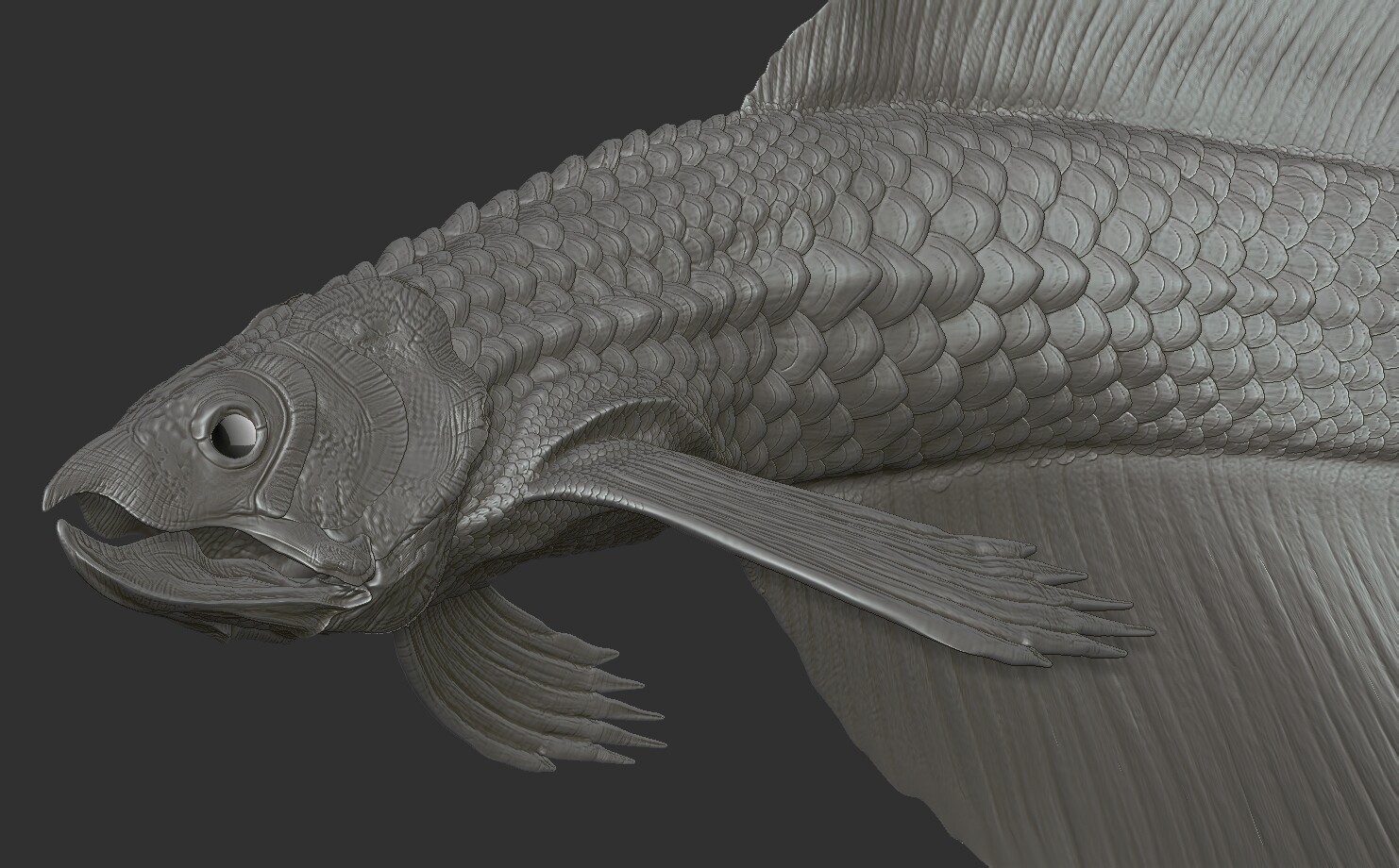 Kevin Stumme - Frillfish | Kulipari - An Army of Frogs