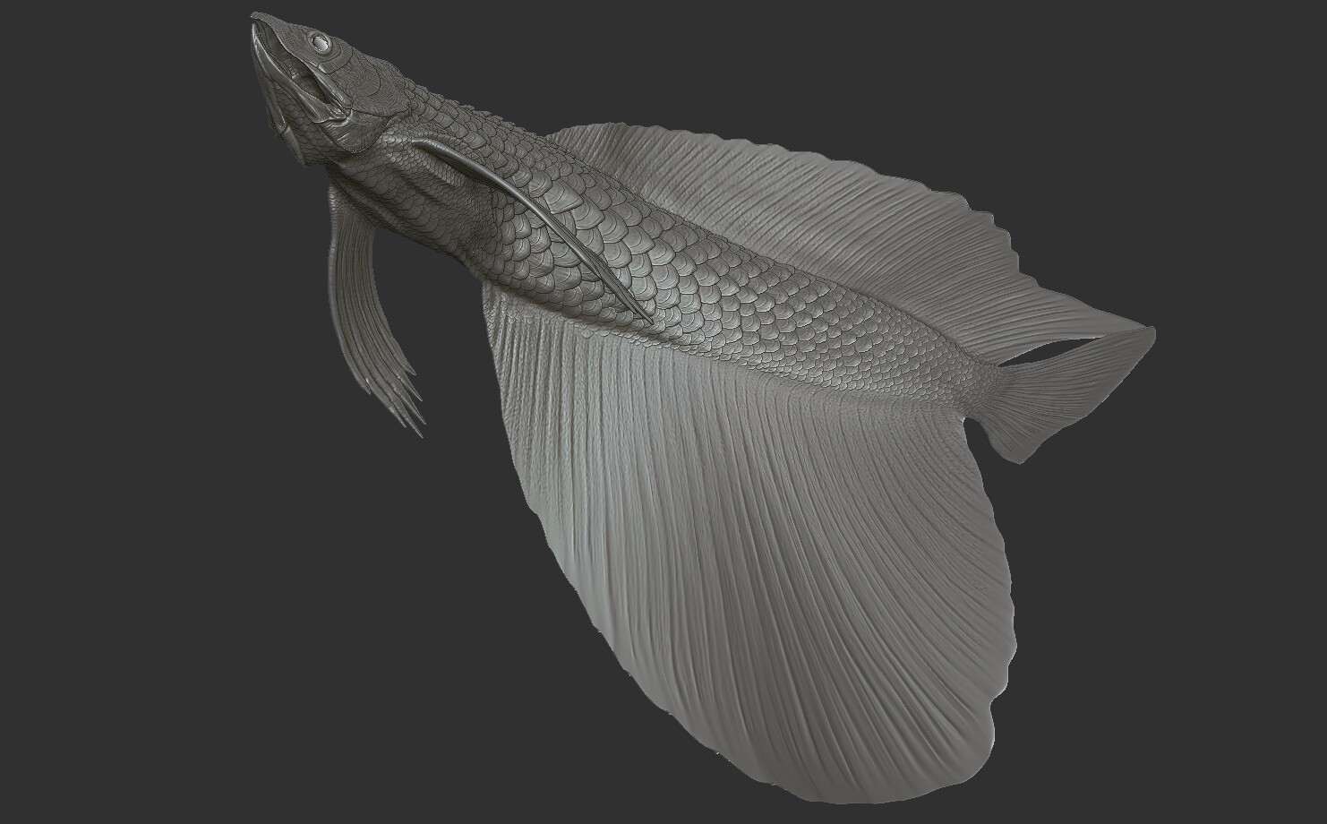 Kevin Stumme - Frillfish | Kulipari - An Army of Frogs