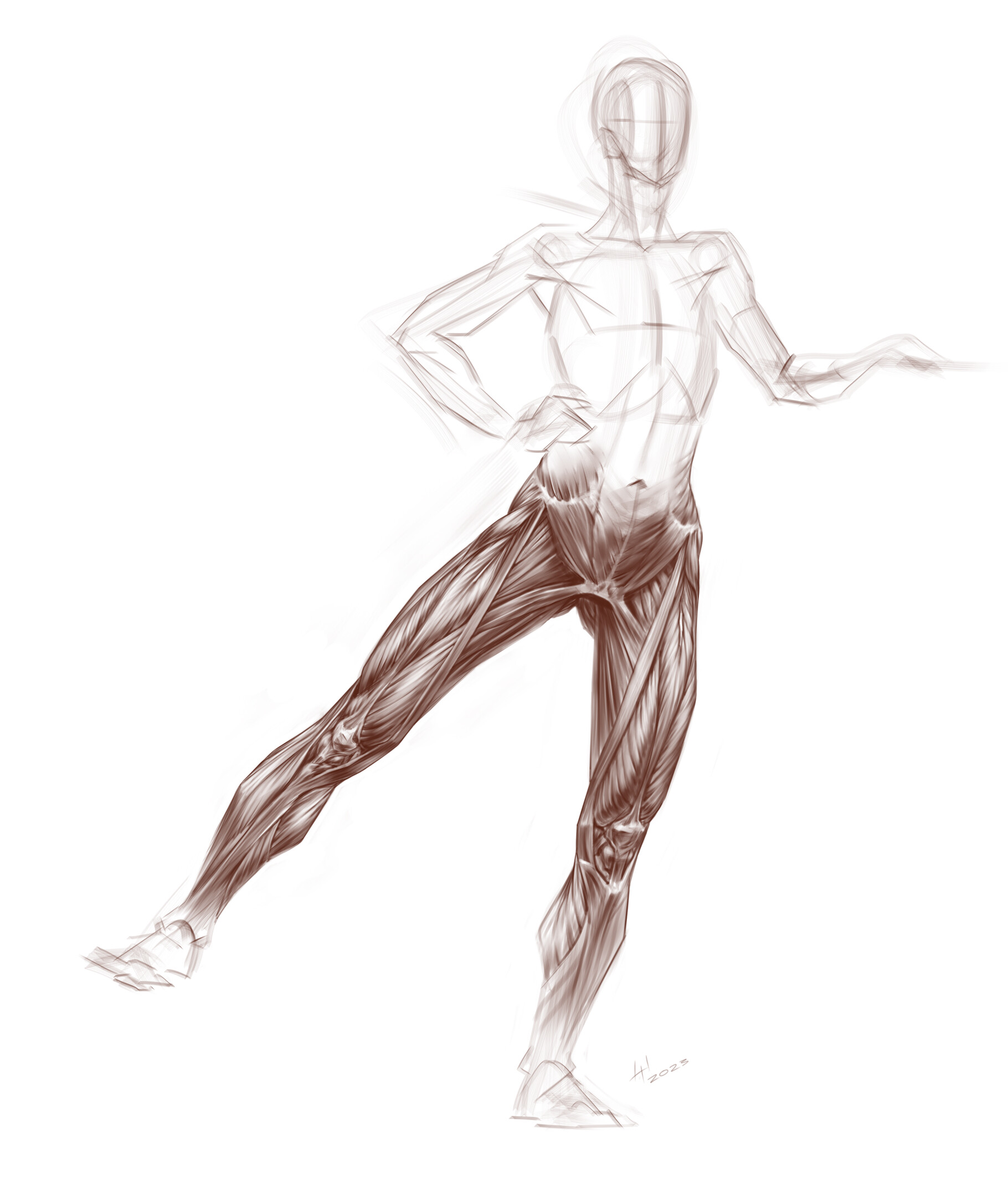 ArtStation - Anatomy studies